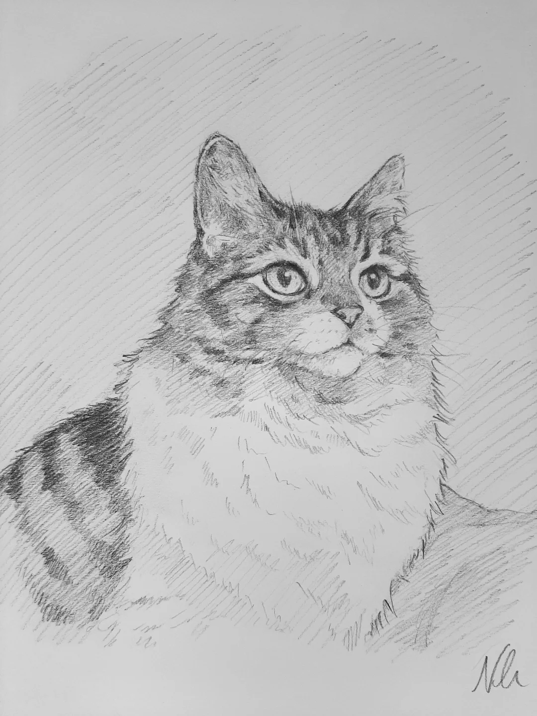In loving memory of Ellie, by me, pencil, 2023 | Scrolller