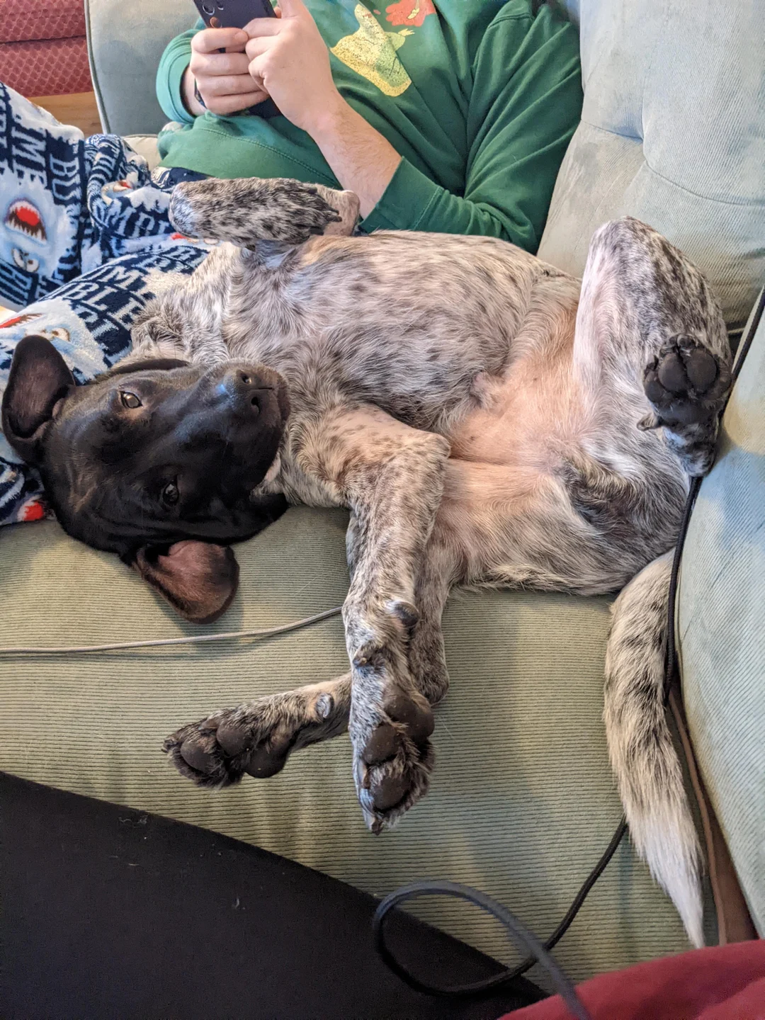 Seriously... | Scrolller