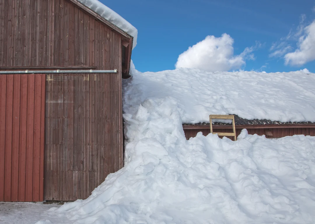 Ladder is now redundant | Scrolller