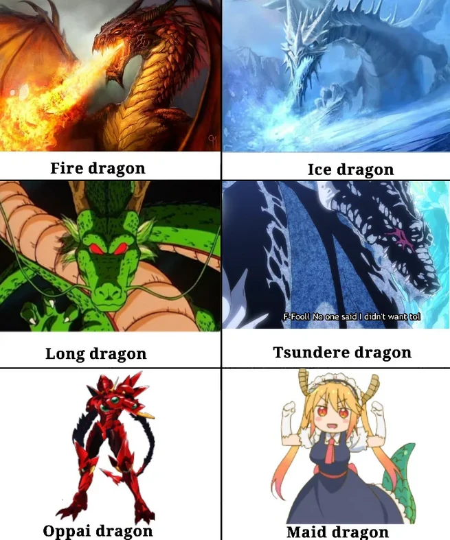 Different types of dragons | Scrolller