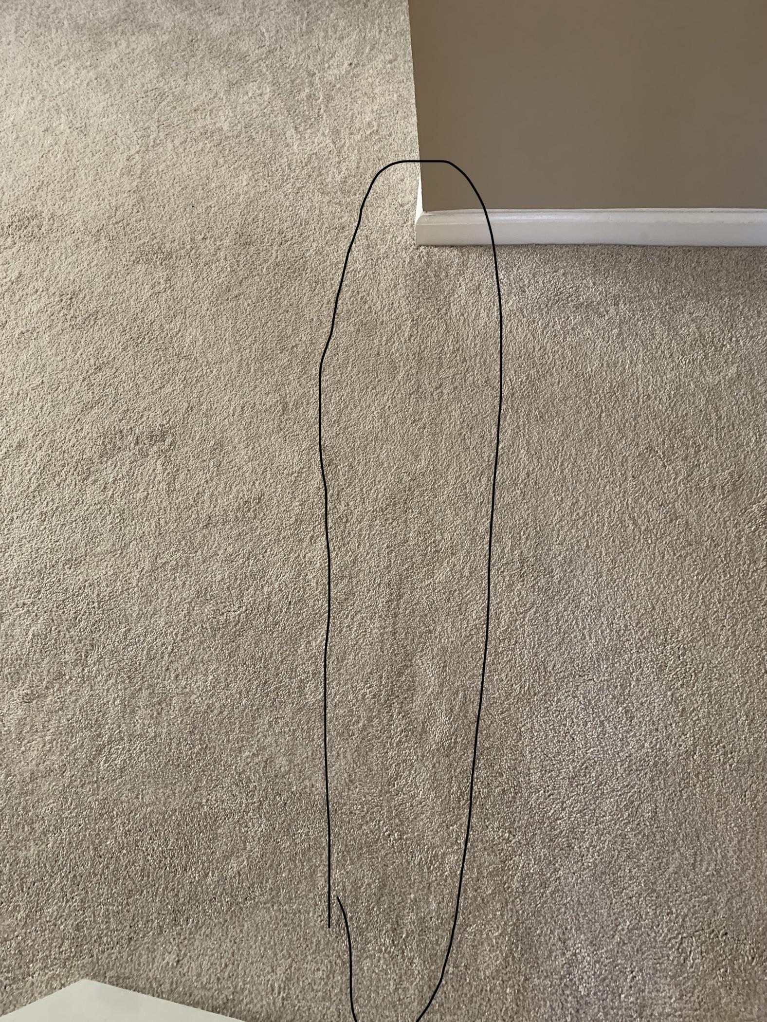 About carpet indentation | Scrolller