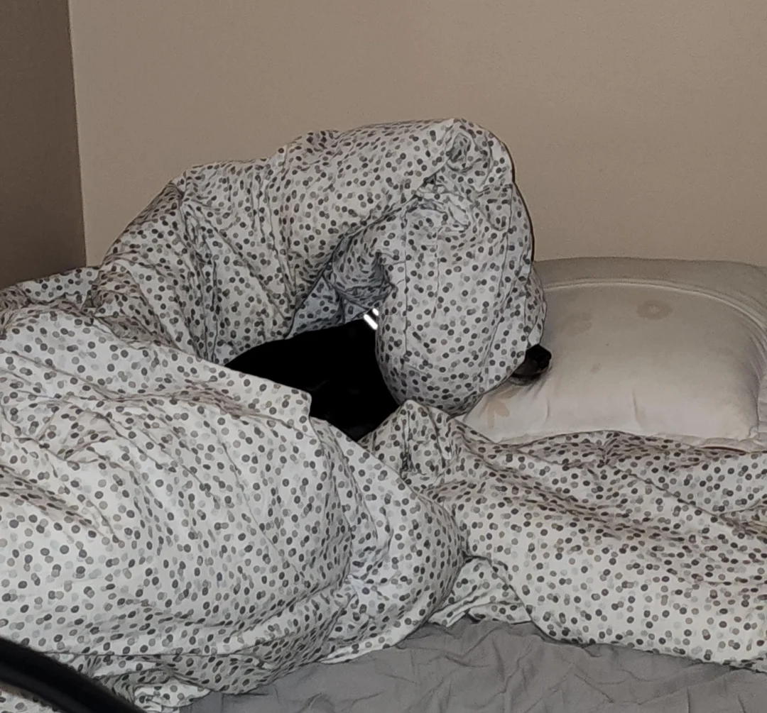 Task Failed Succesfully. LOL | Scrolller