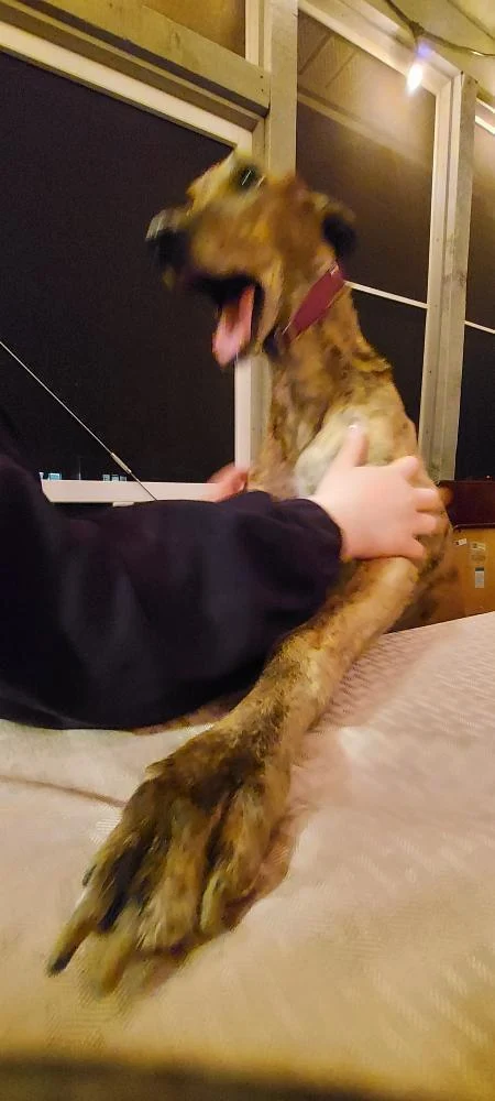 TOT?? 😛 | Scrolller