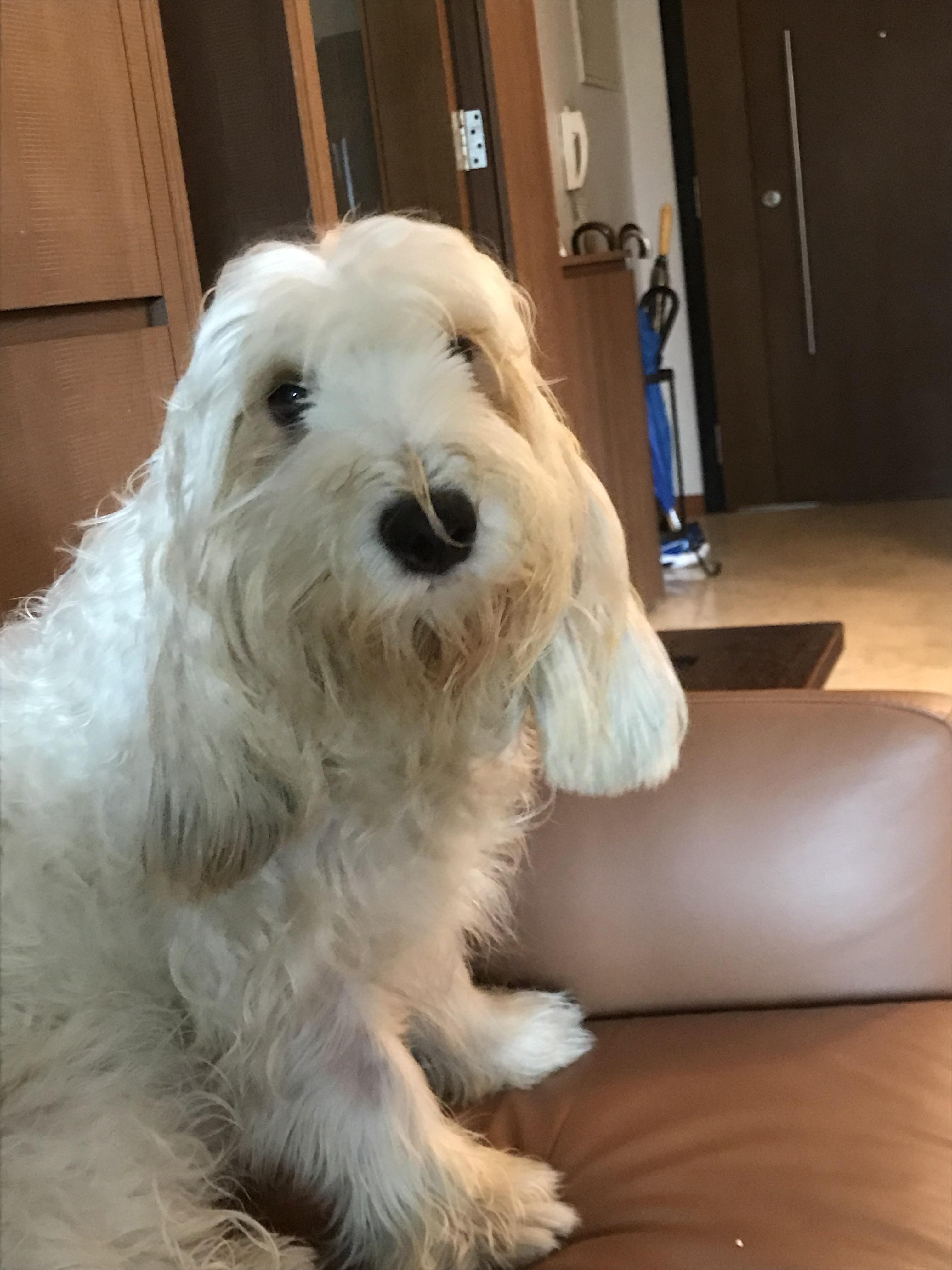 The Creature | Scrolller