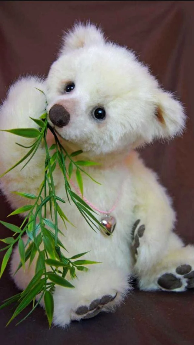 White Teddy Bear | Scrolller