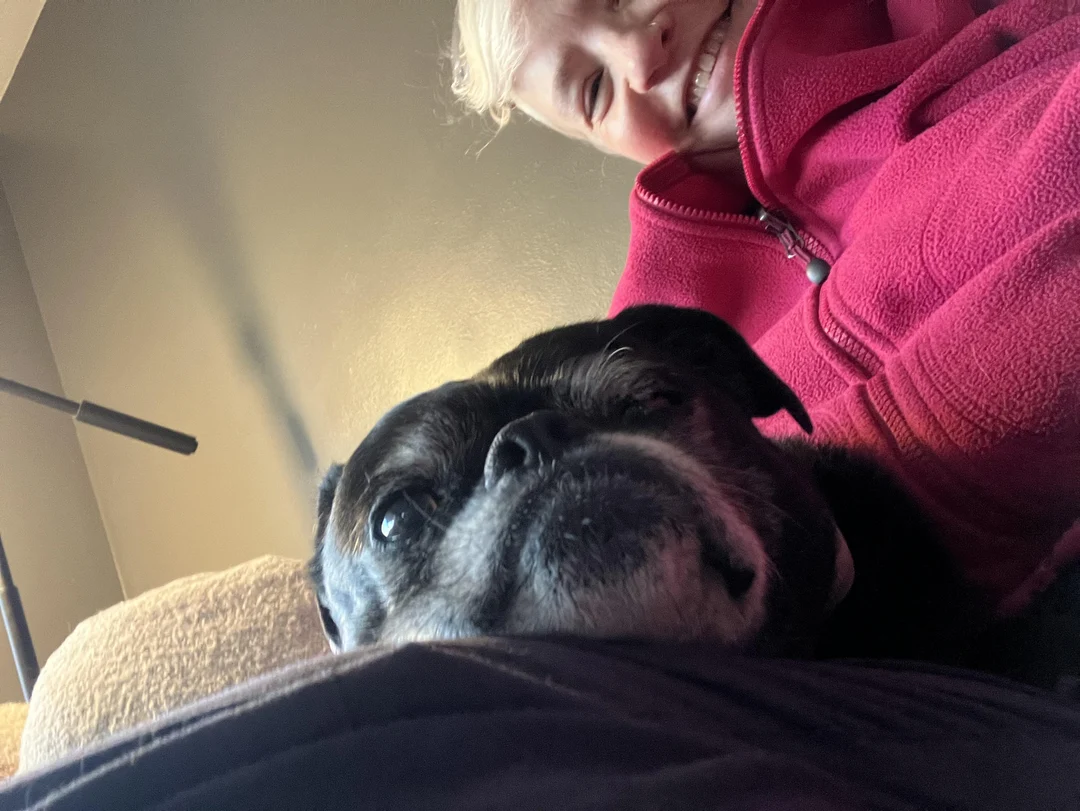 Meet Doug. I get to watch him for a while. He’s a sweet boy | Scrolller