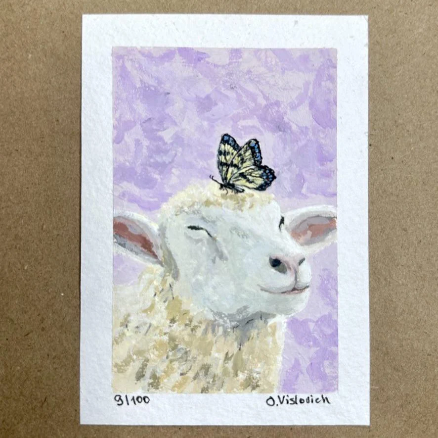 Cute sheep | Scrolller