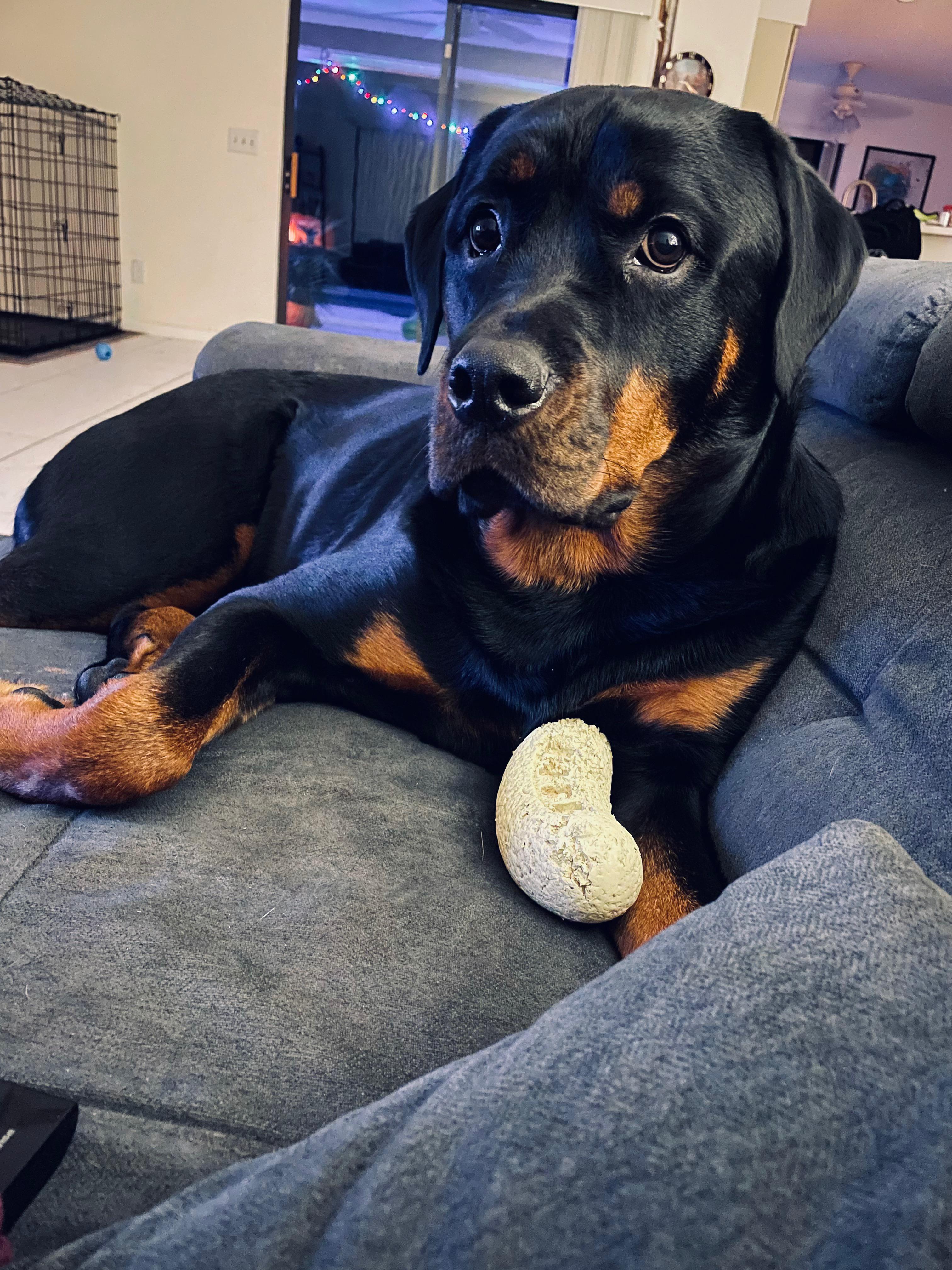 My Disney prince | Scrolller