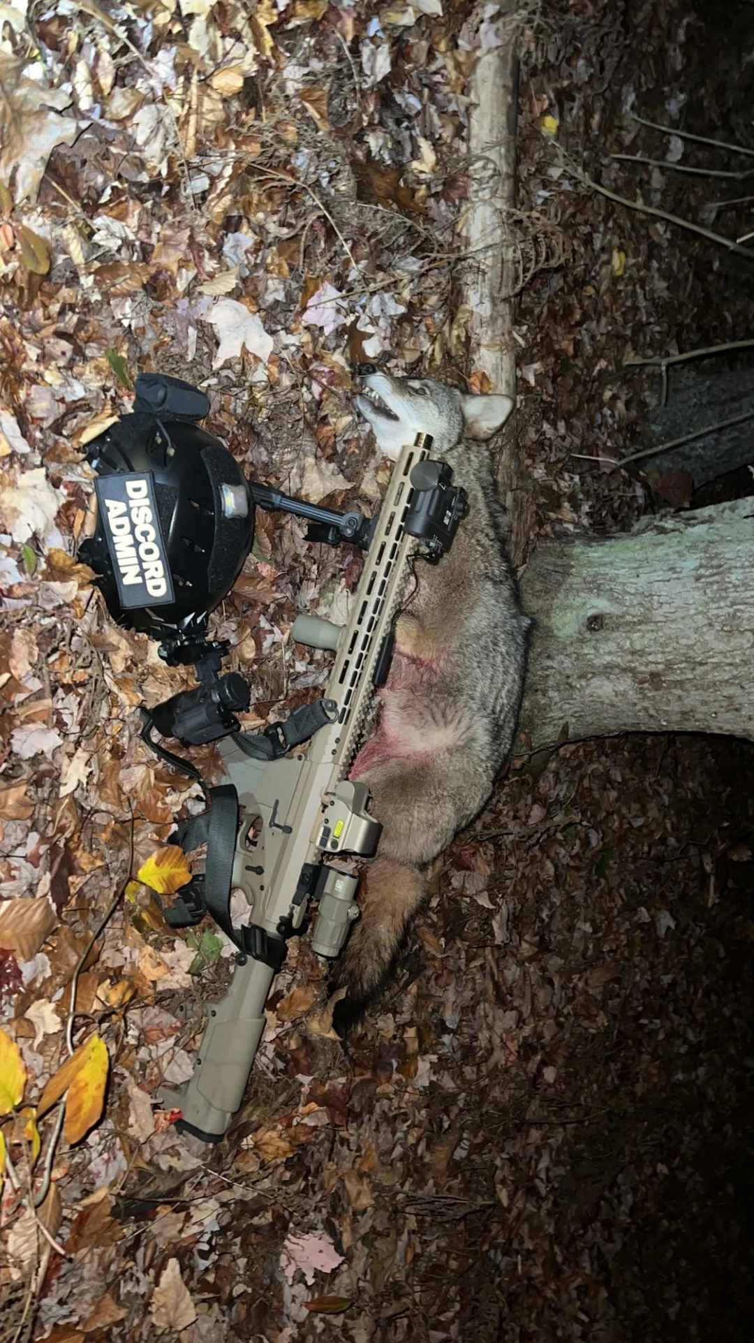 First coyote with the 8.6blk | Scrolller