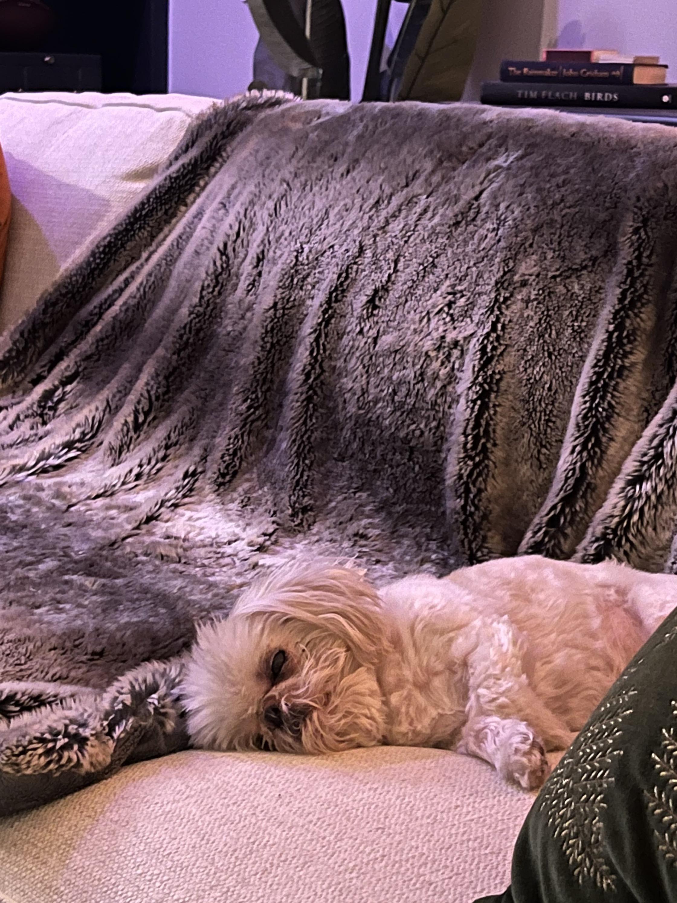 Kirby’s Cooked | Scrolller