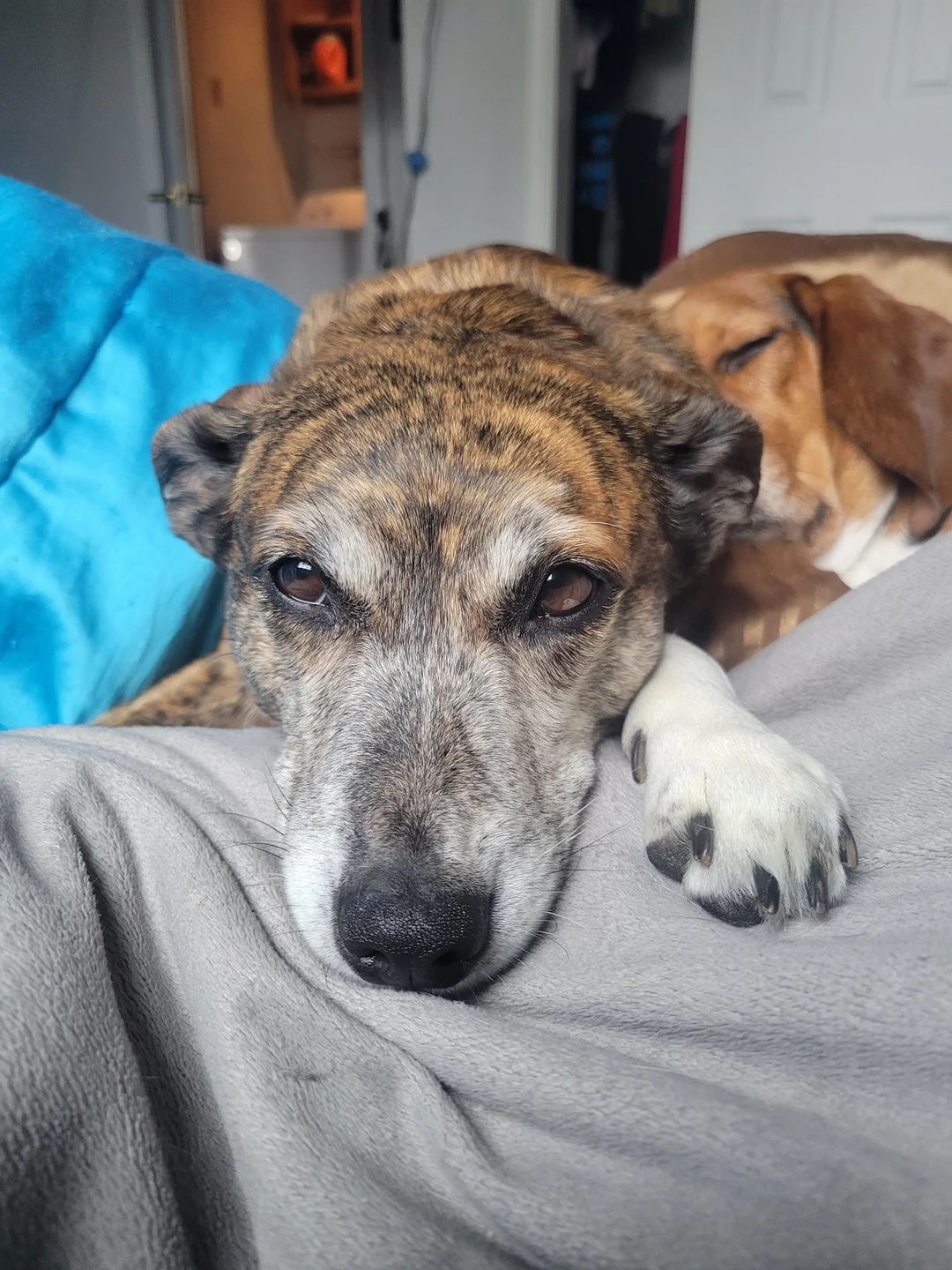 Beautiful girl (and my derp asleep behind her) | Scrolller