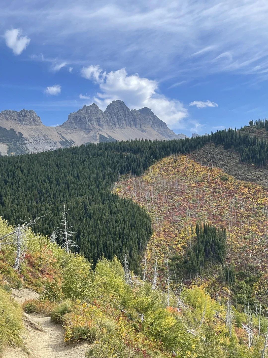 Highline Trail Glacier National Park [OC] 3024x4032 | Scrolller