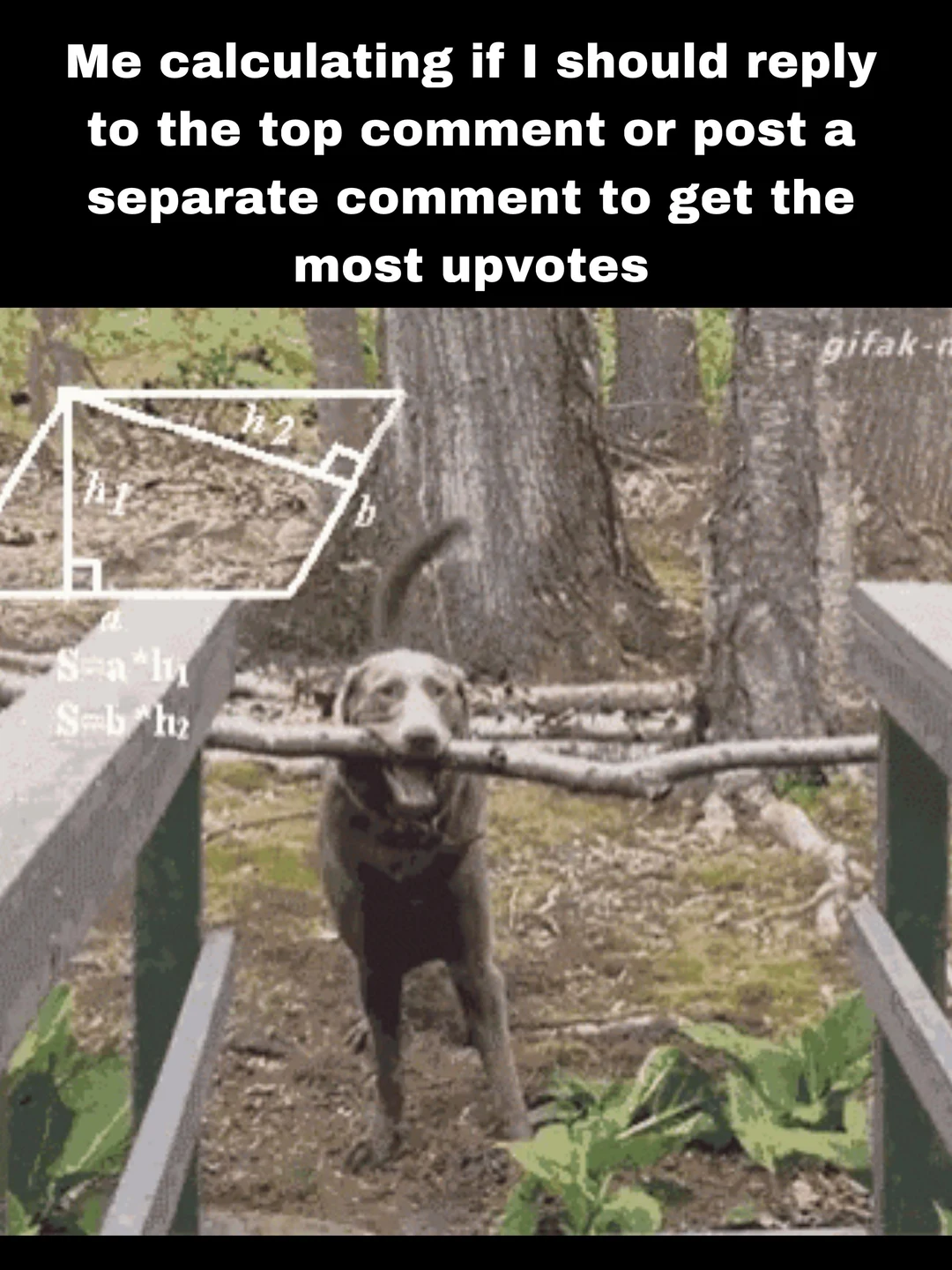 Get ignored completely afterwards… | Scrolller