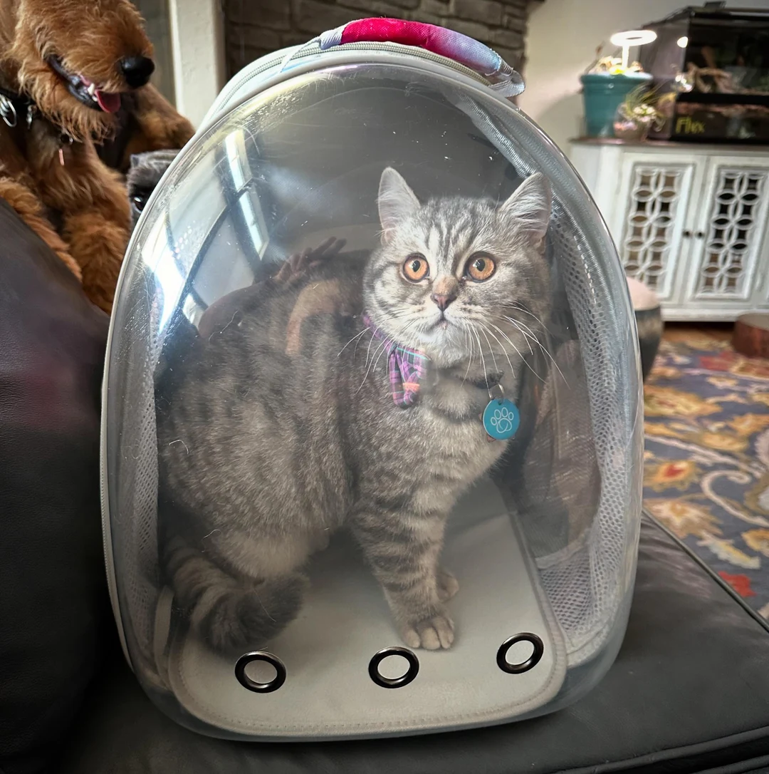 New Backpack for the Floof | Scrolller