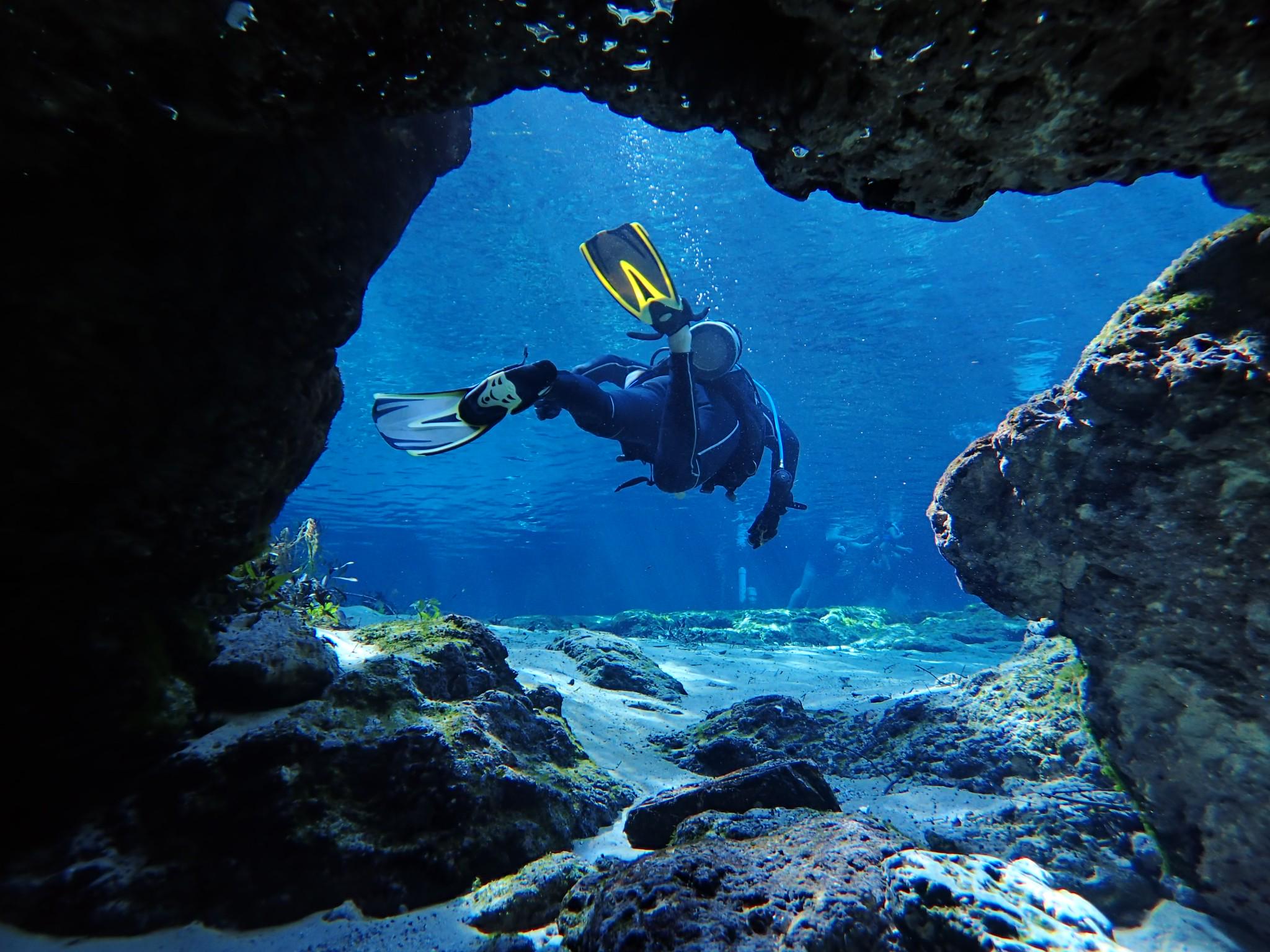 Ginnie Springs, FL | Scrolller