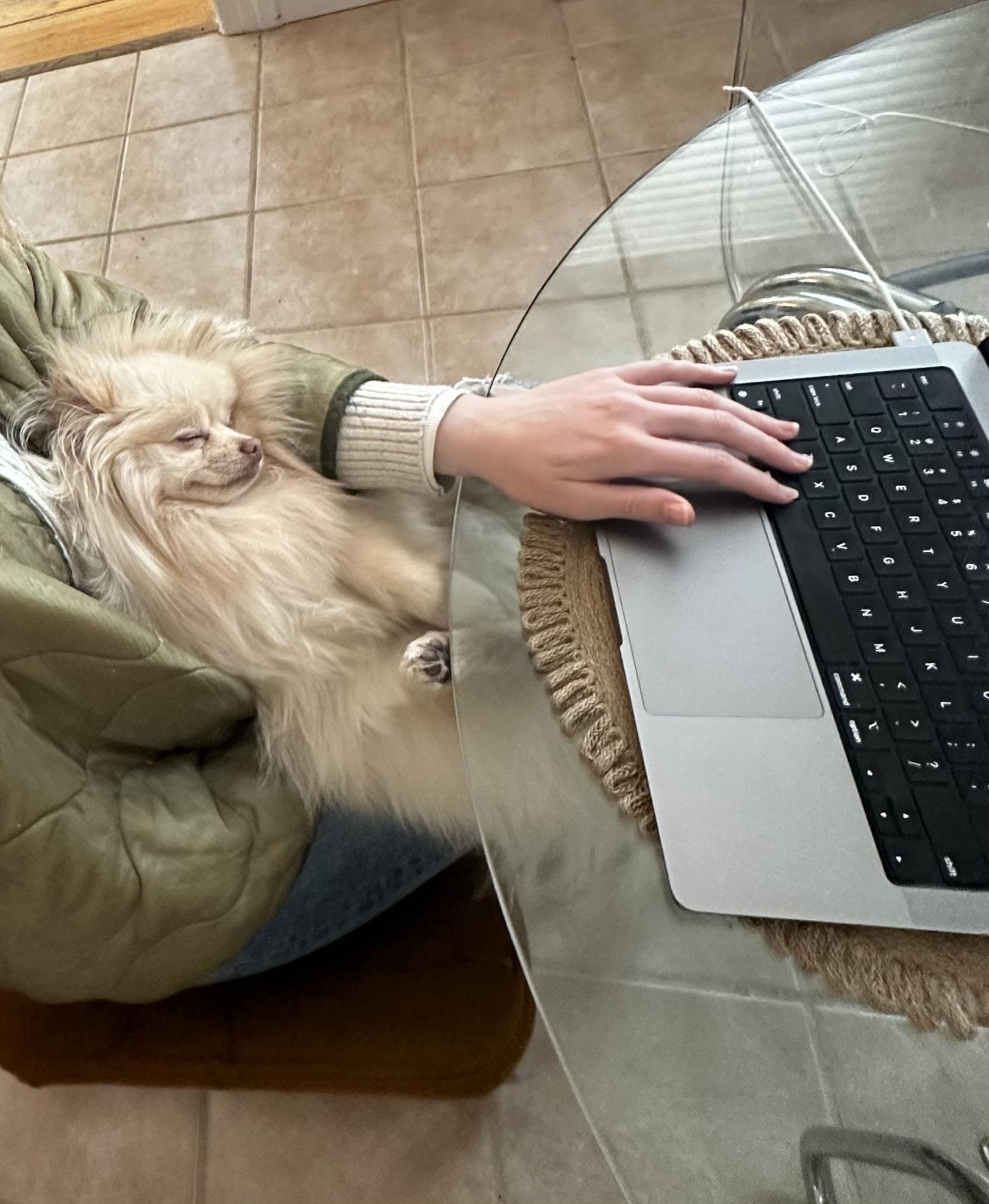 Help! My assistant keeps falling asleep at on the job! | Scrolller