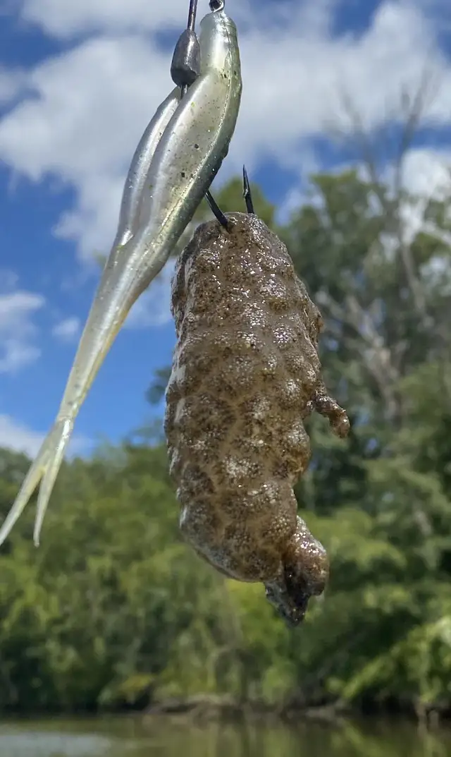 What the hell did my boyfriend catch??? | Scrolller