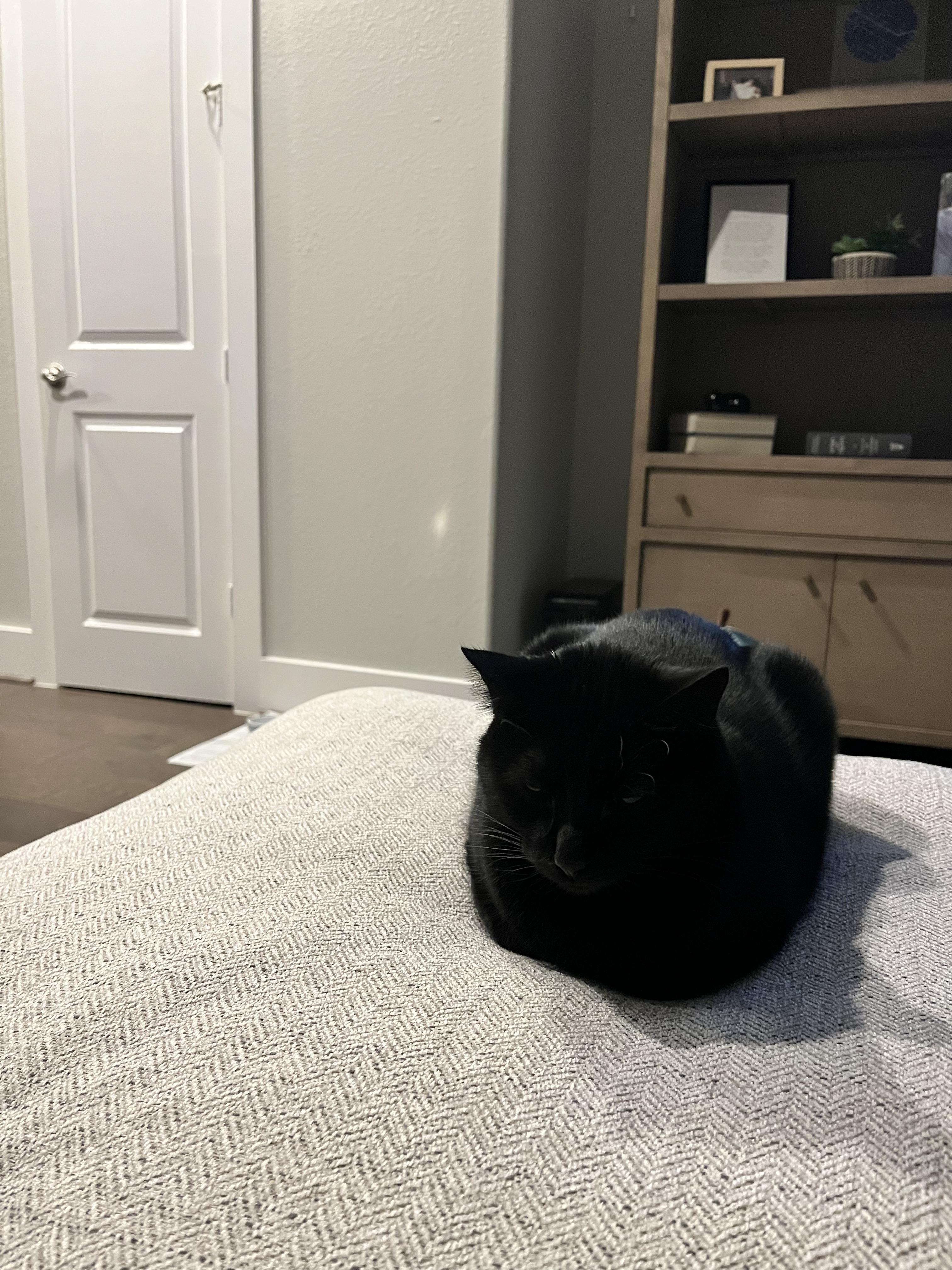 Perfect loaf | Scrolller