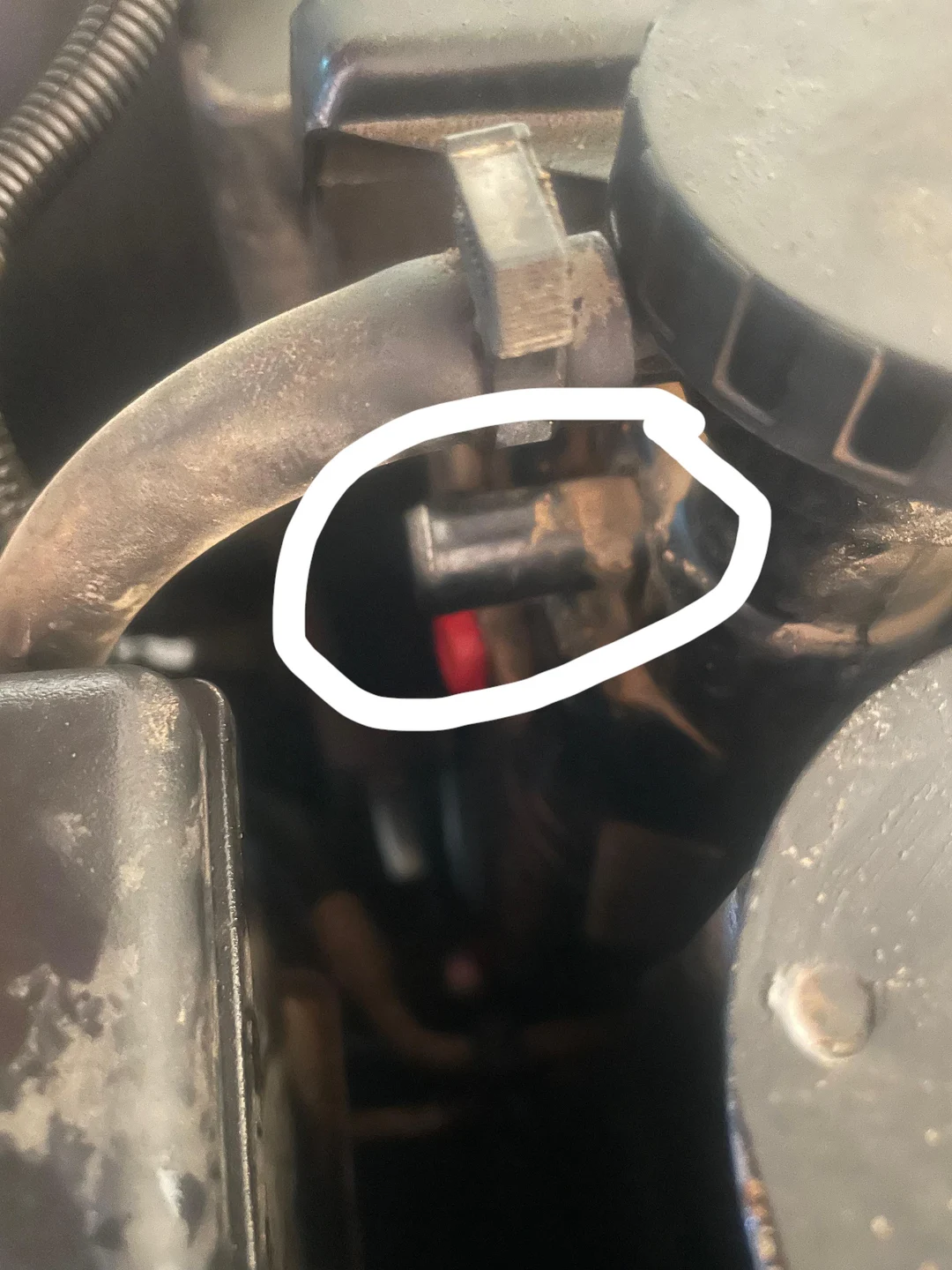 What hose is missing here | Scrolller