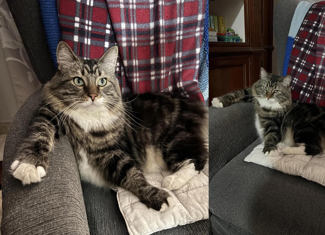 He thinks this is totally normal | Scrolller