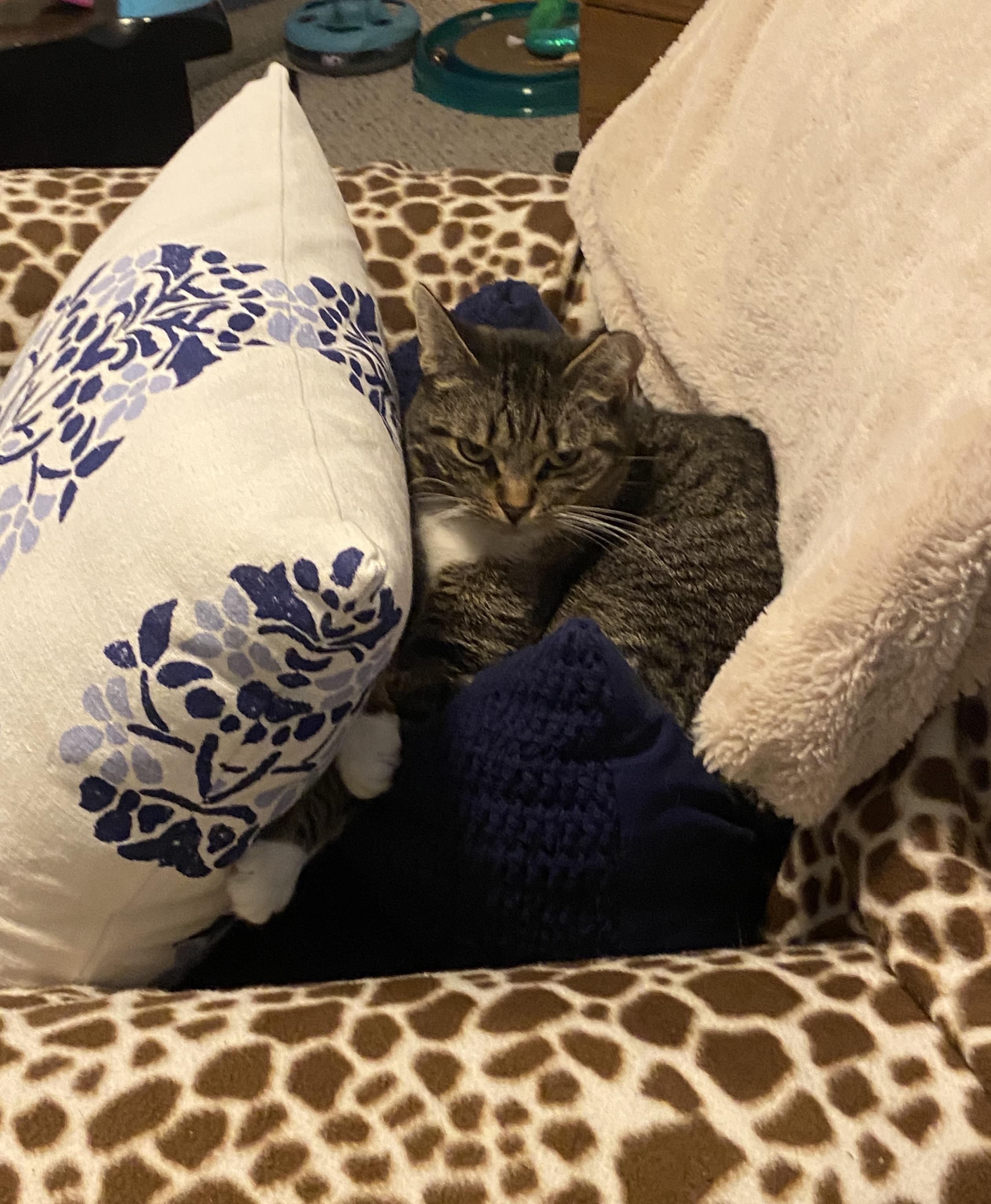 She always looks this grumpy | Scrolller