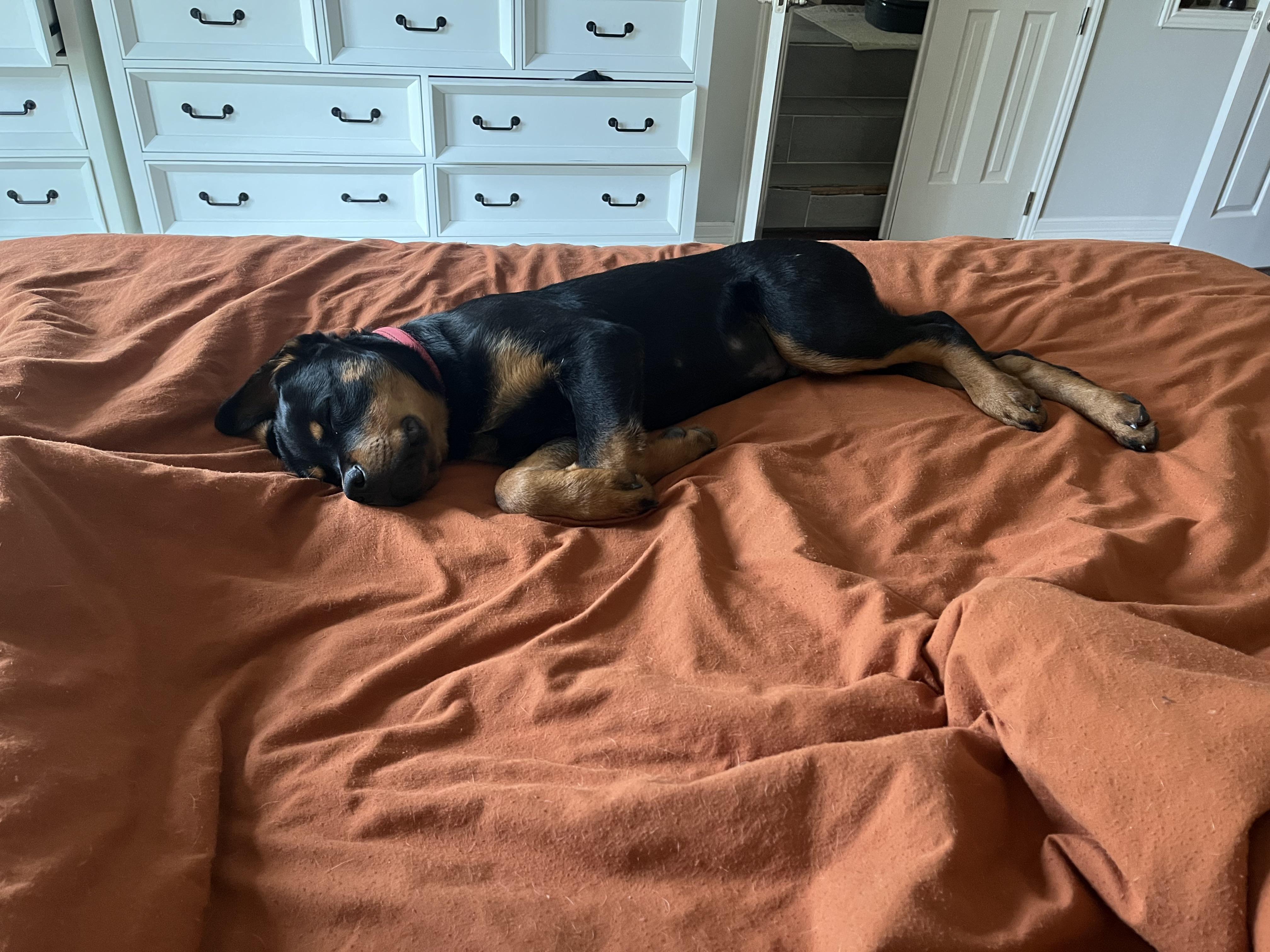 Beans is 5 months old today | Scrolller