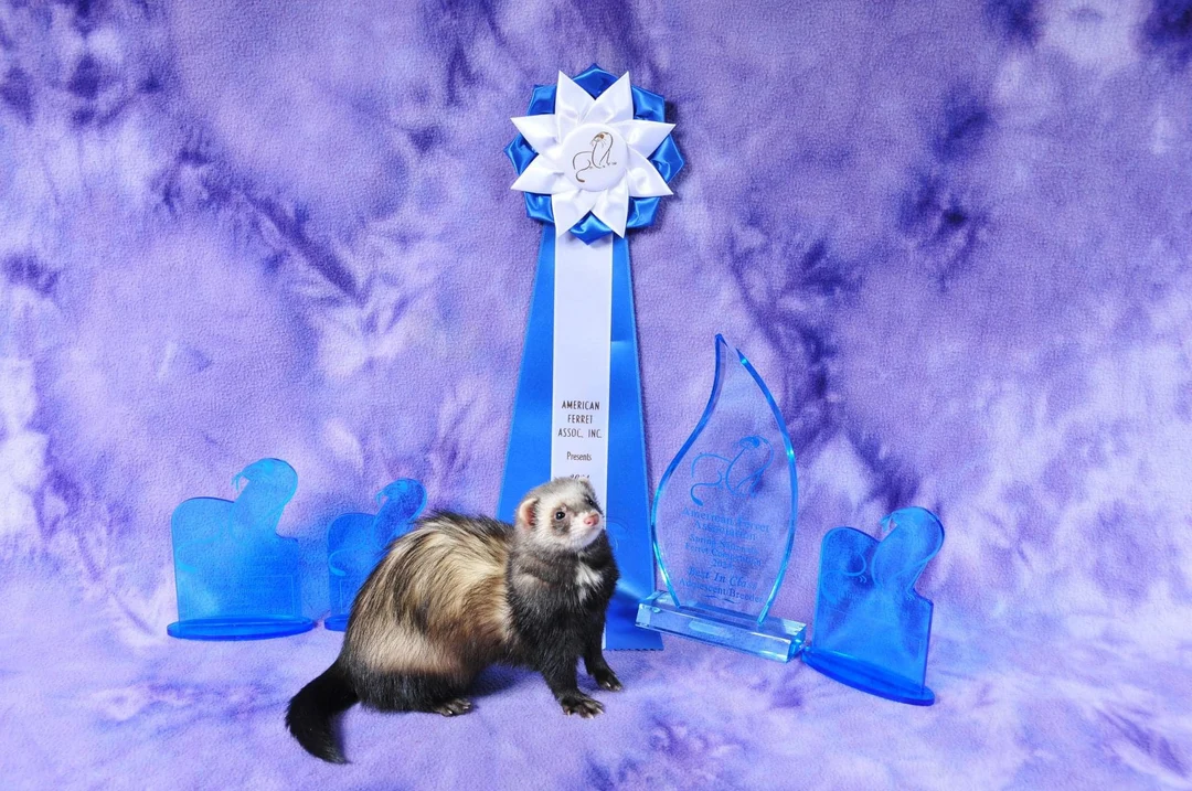 Mineru's little stance. She's so proud | Scrolller