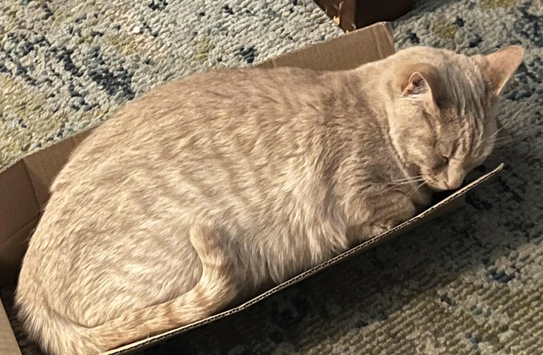 Why isn’t my loaf rising? | Scrolller Why isn’t my loaf rising? | Scrolller