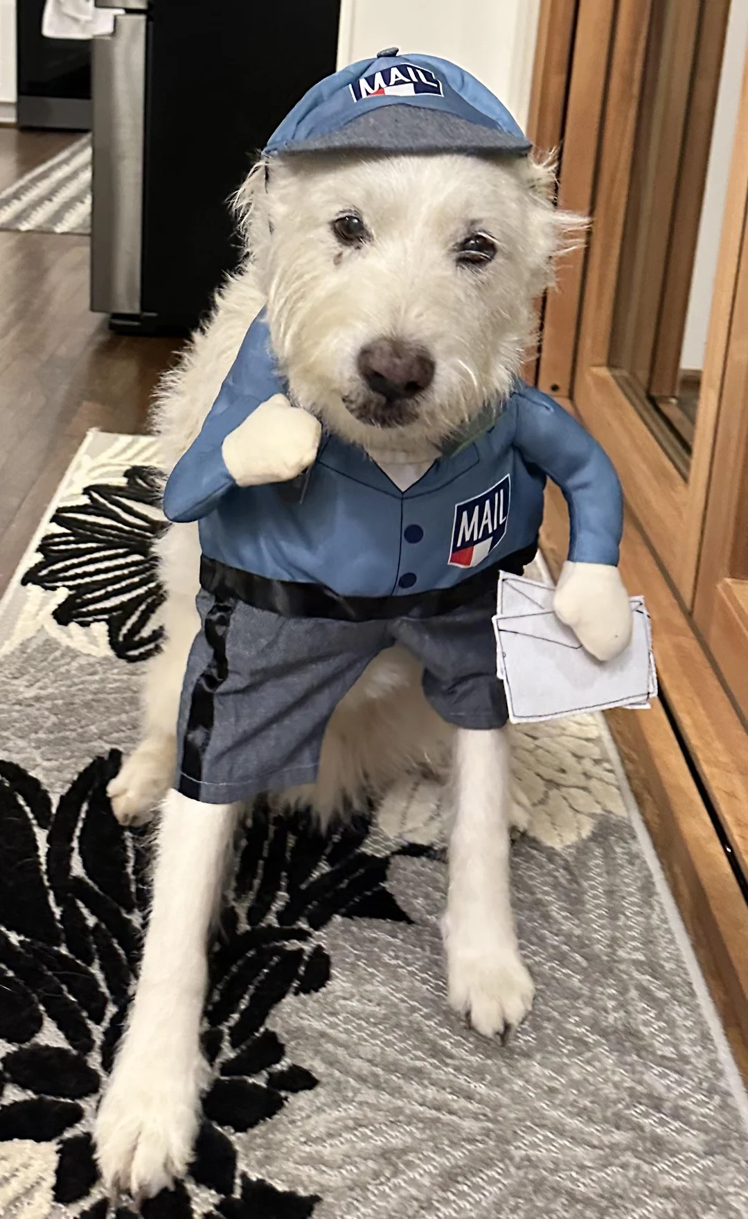 Special delivery | Scrolller