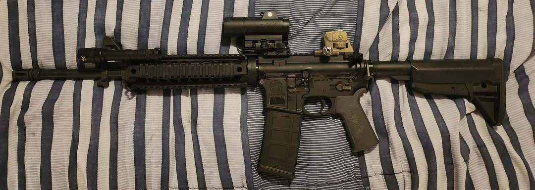 Quad rail and fixed sights | Scrolller