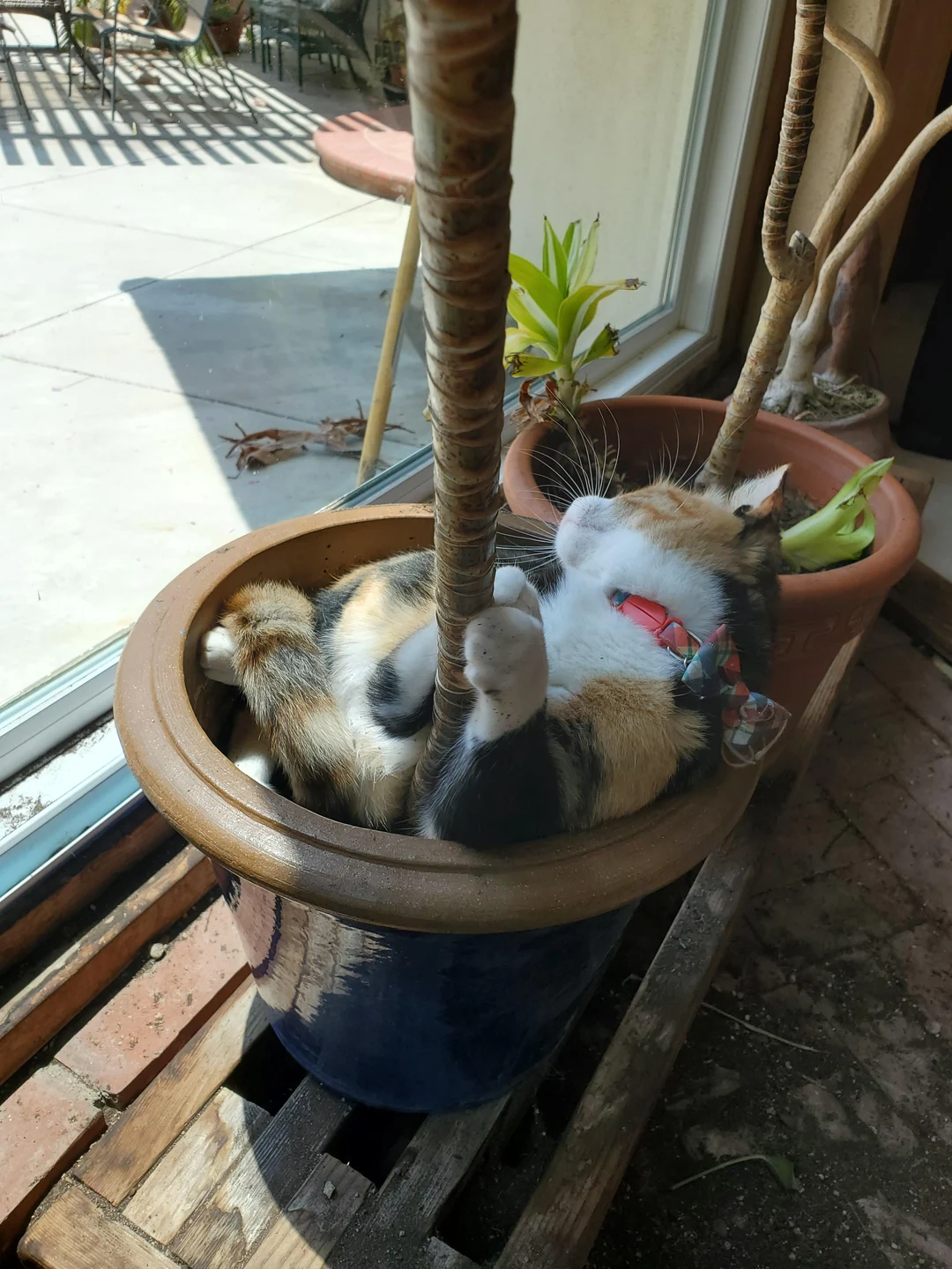 Snuggled in good. | Scrolller