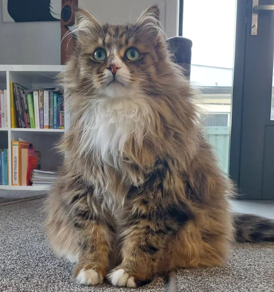 So handsome! | Scrolller