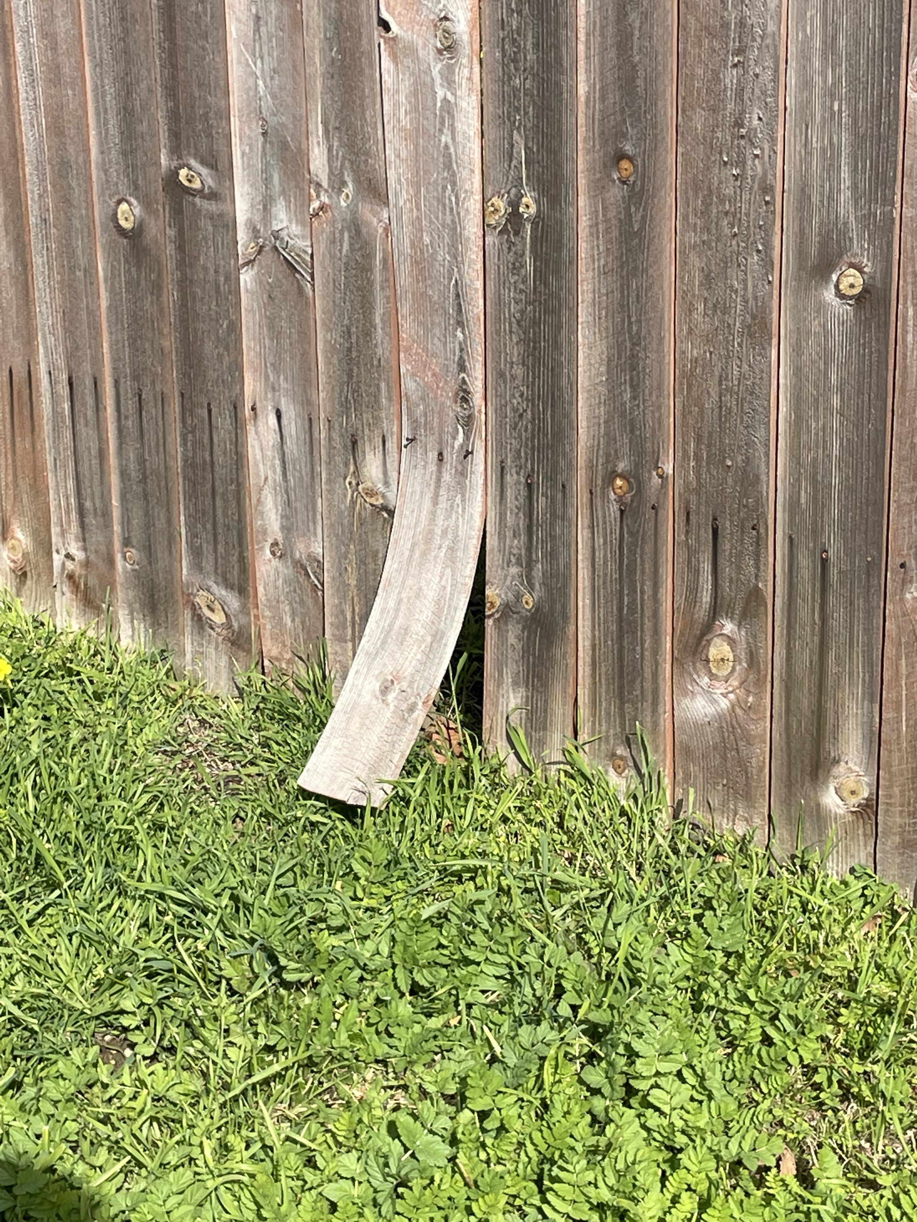 This fence with a warped plank | Scrolller