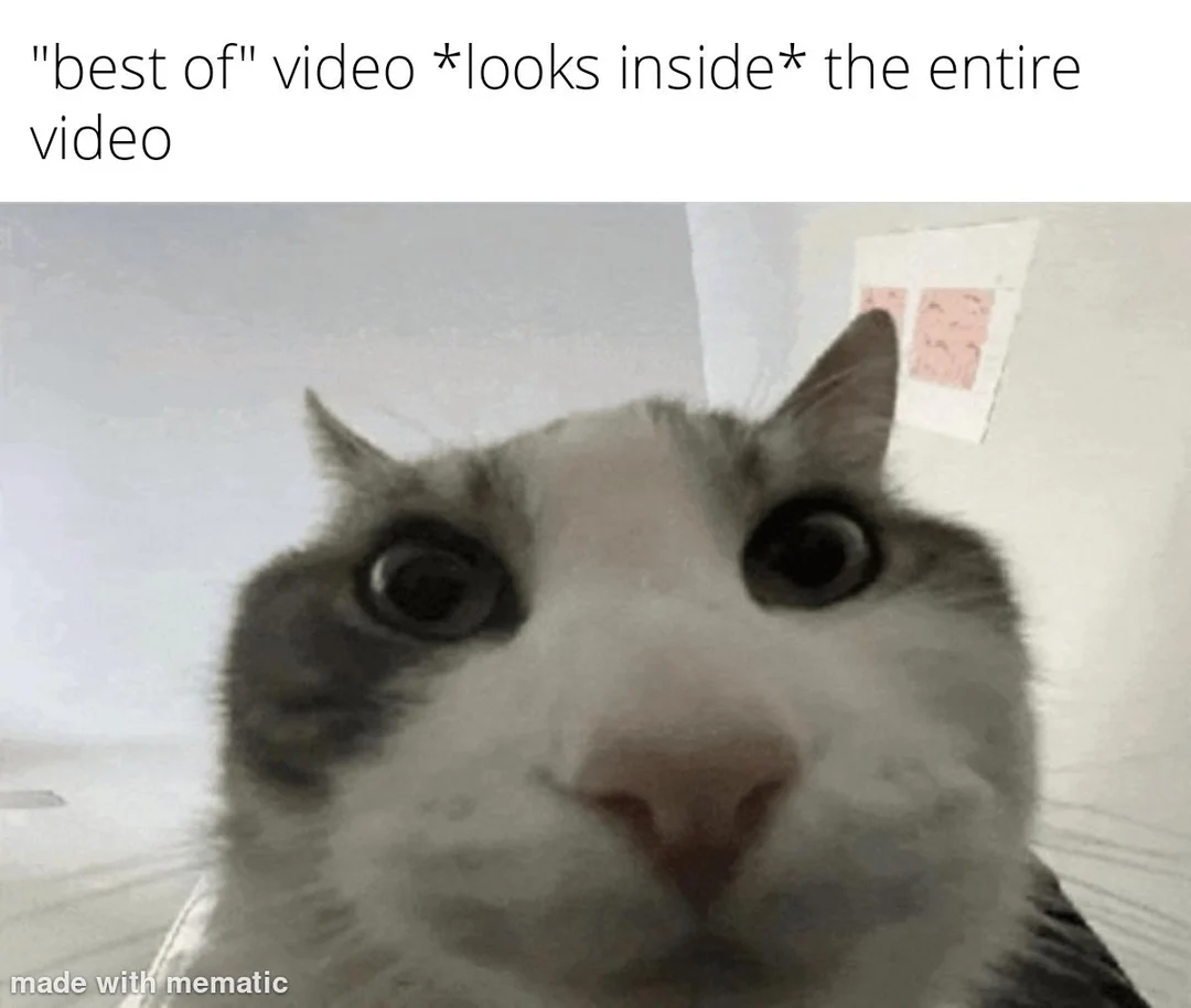 Shitpost status | Scrolller