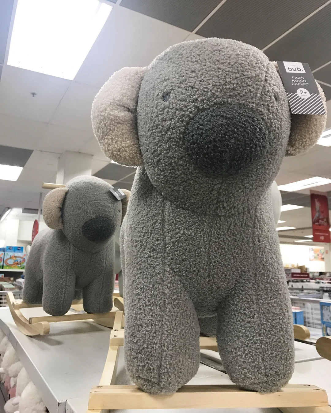 Cute koala in target | Scrolller