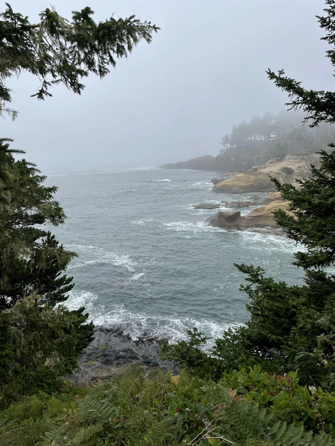 Newport, Oregon [OC] [3024 x 4032] | Scrolller