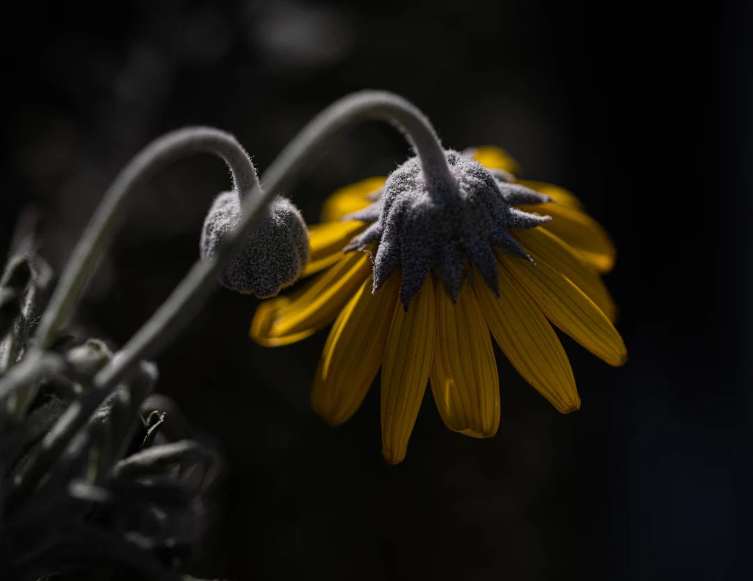 lights and shadows, Me, Photography, 2023 | Scrolller