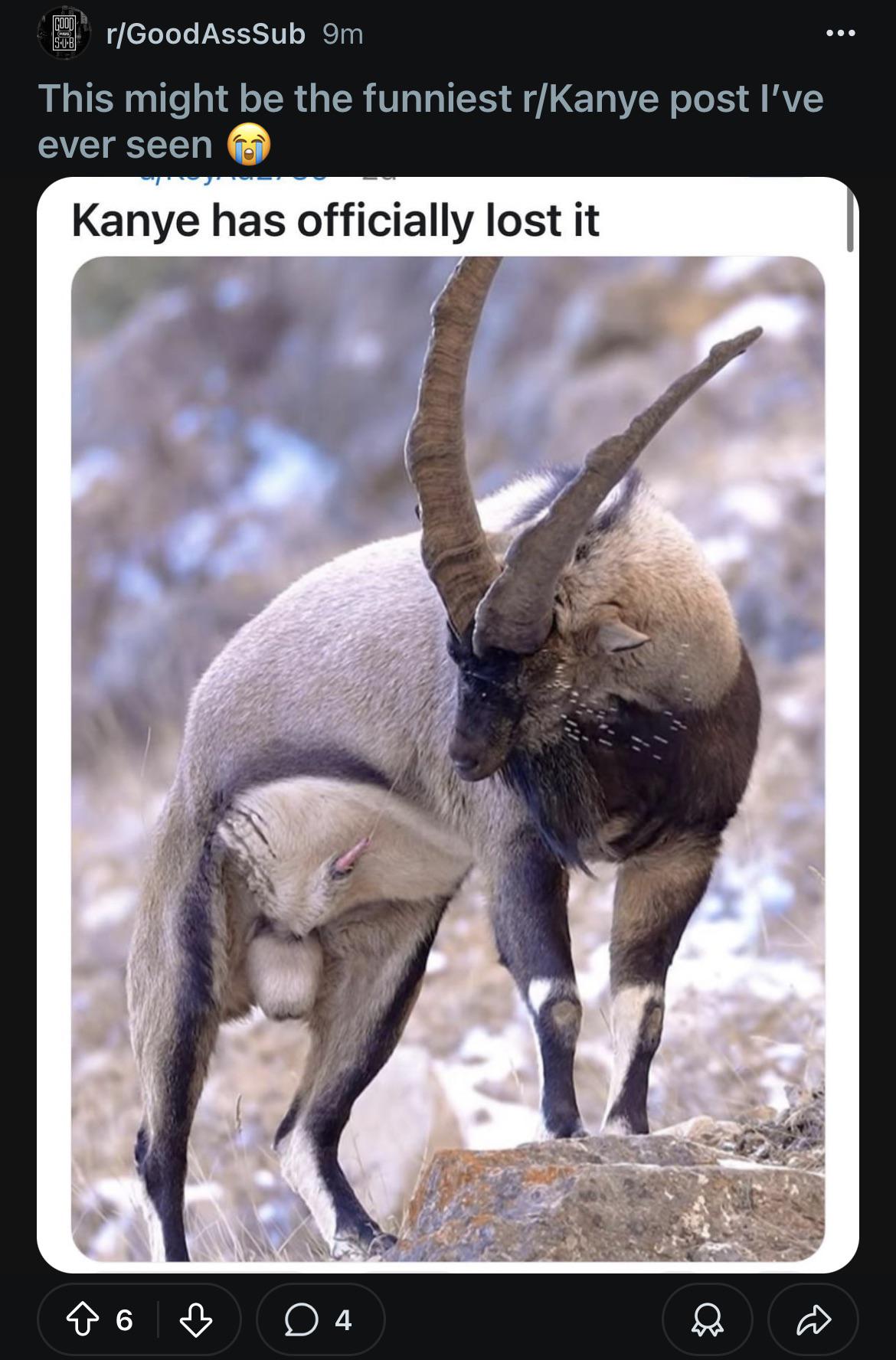 GAS acting like we need validation from them | Scrolller