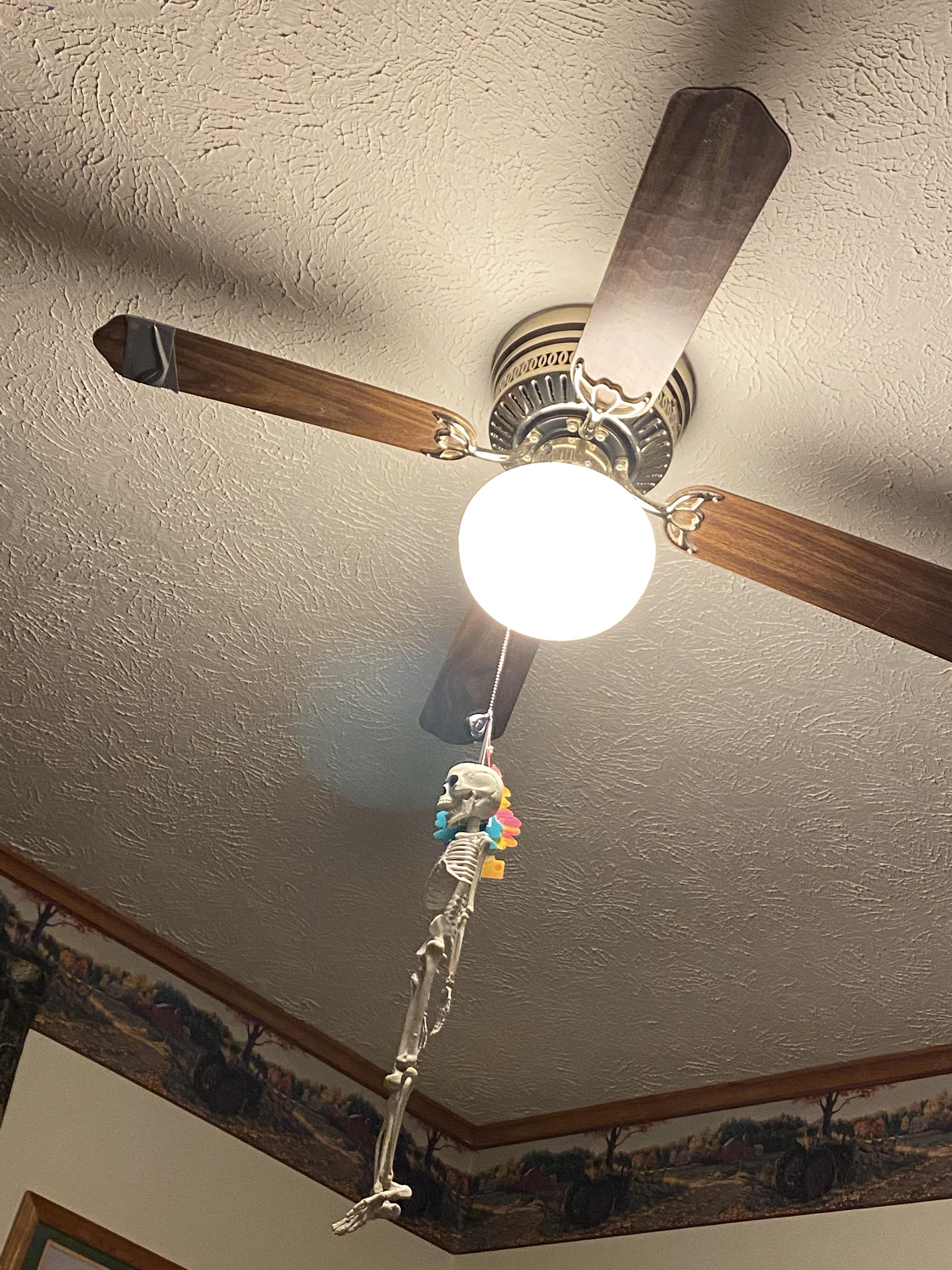 She’s all festive | Scrolller