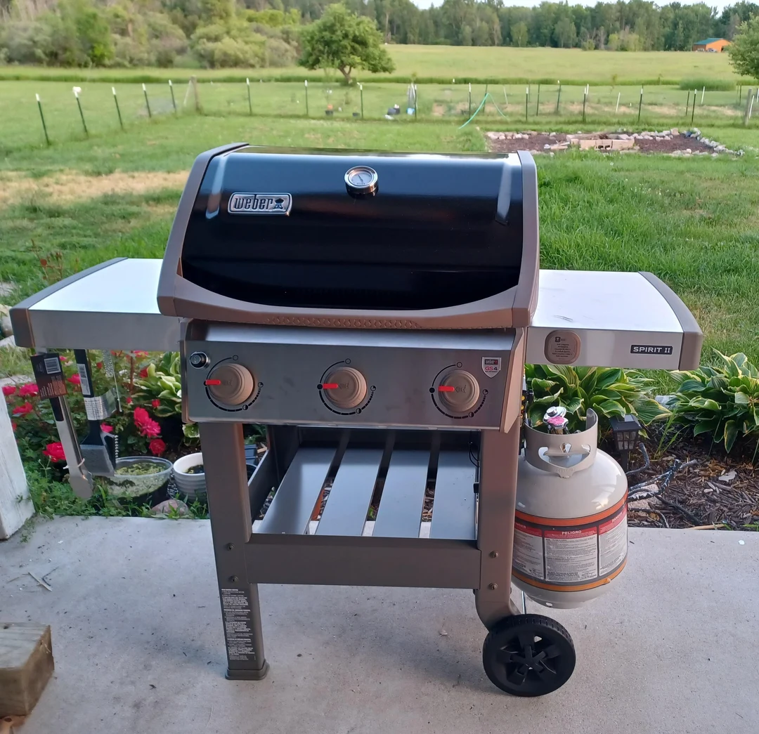 First grill | Scrolller
