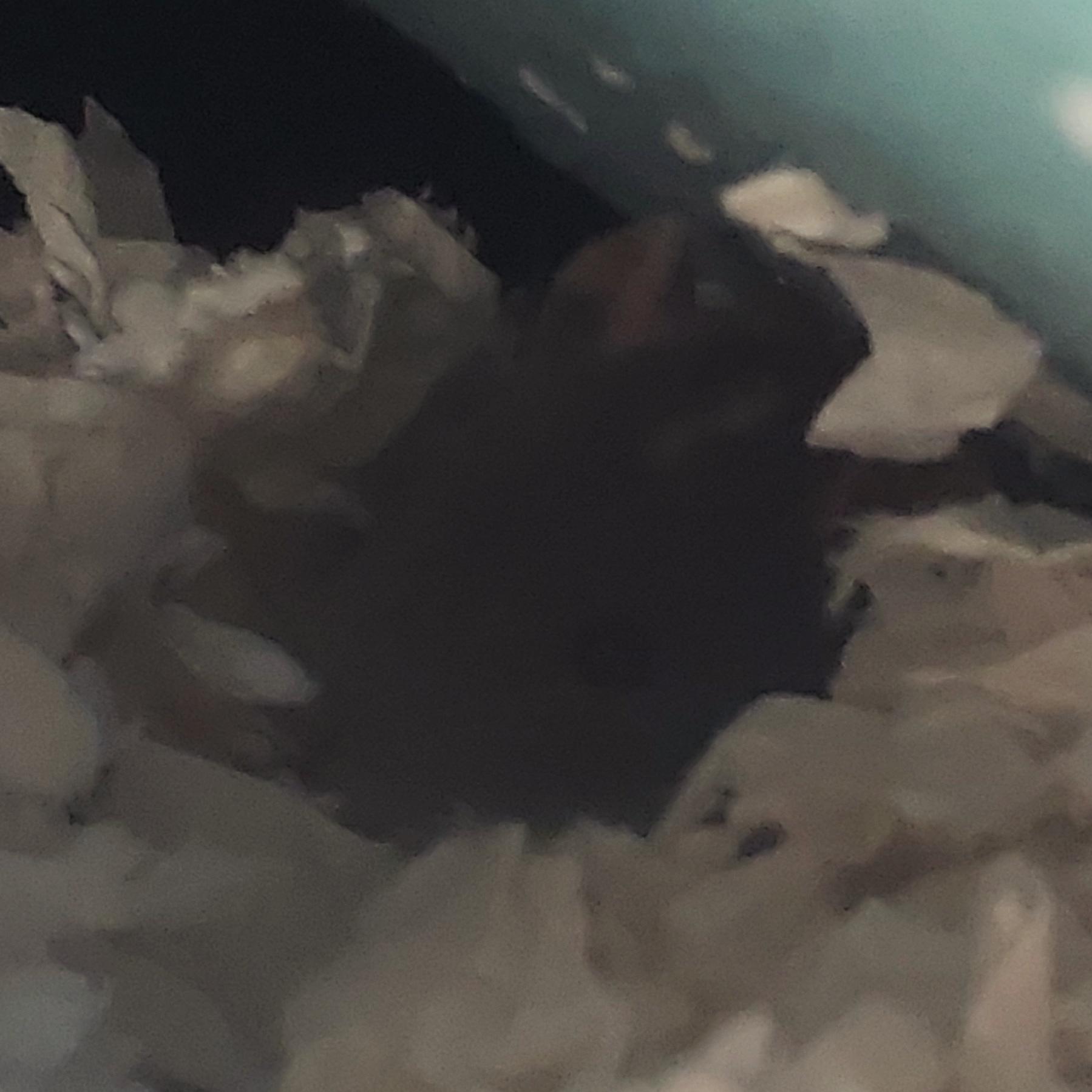 Help with sneezing? | Scrolller