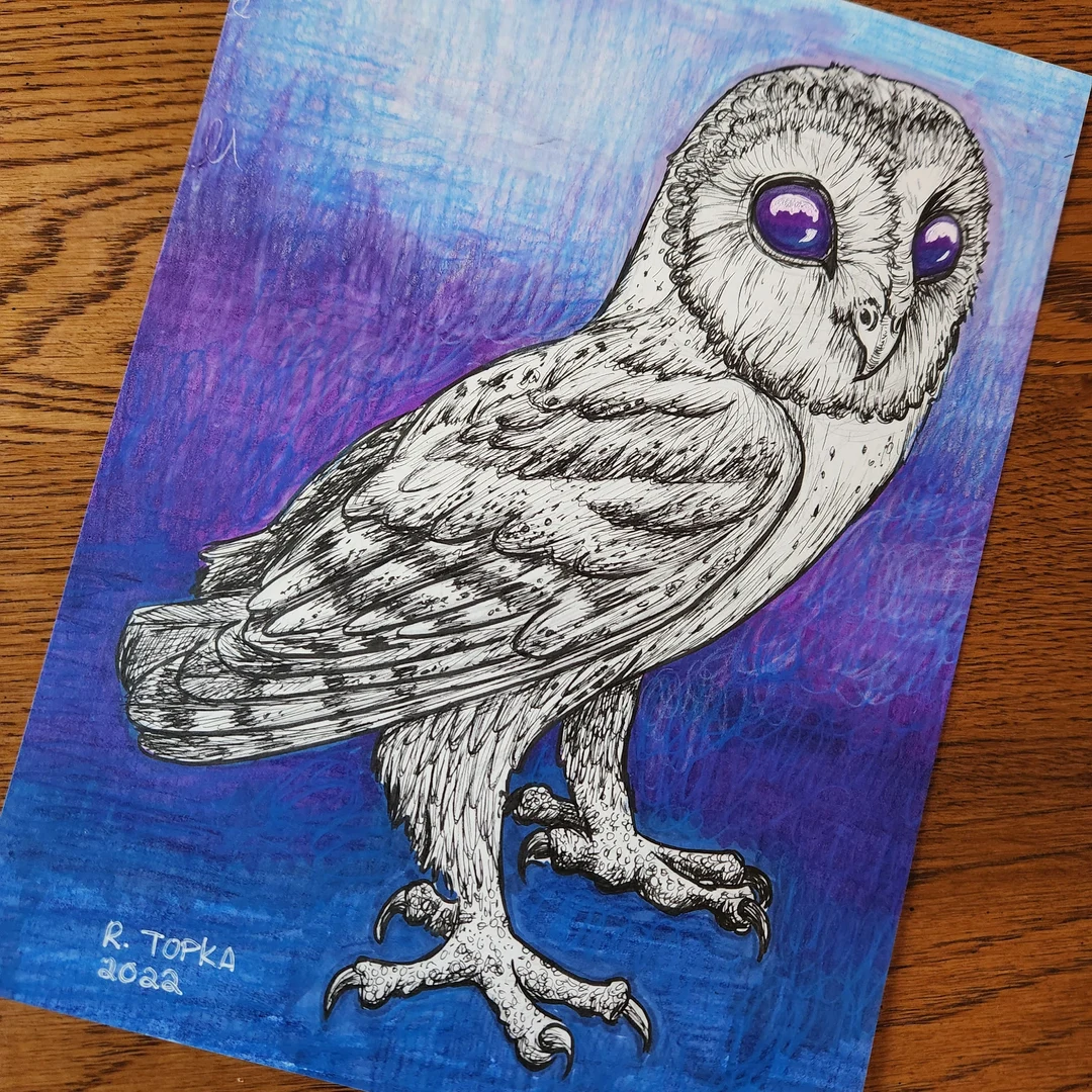 A little art practice I did of a Barn Owl :) | Scrolller