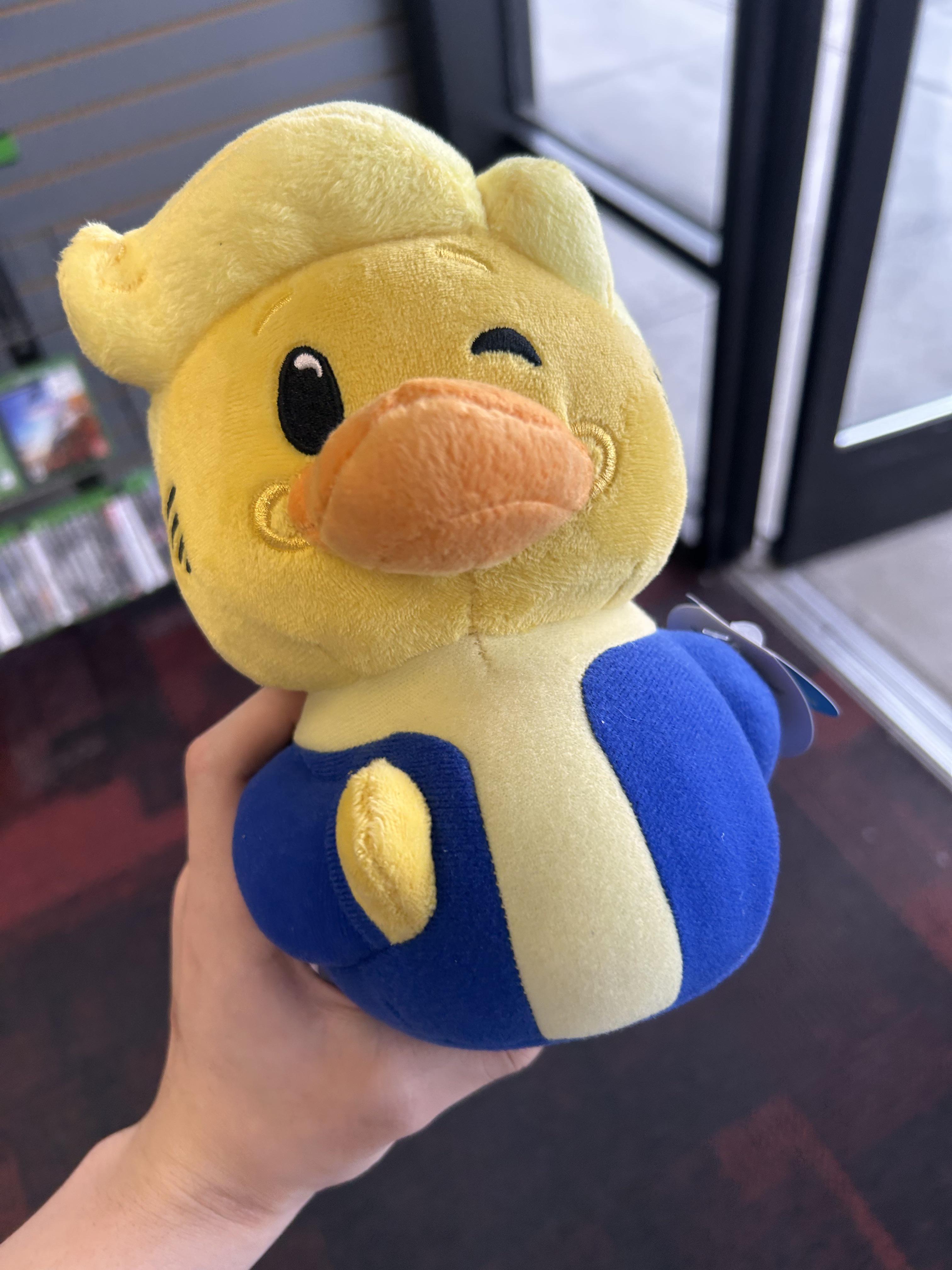 My mother got me a plush ducky vault boy | Scrolller