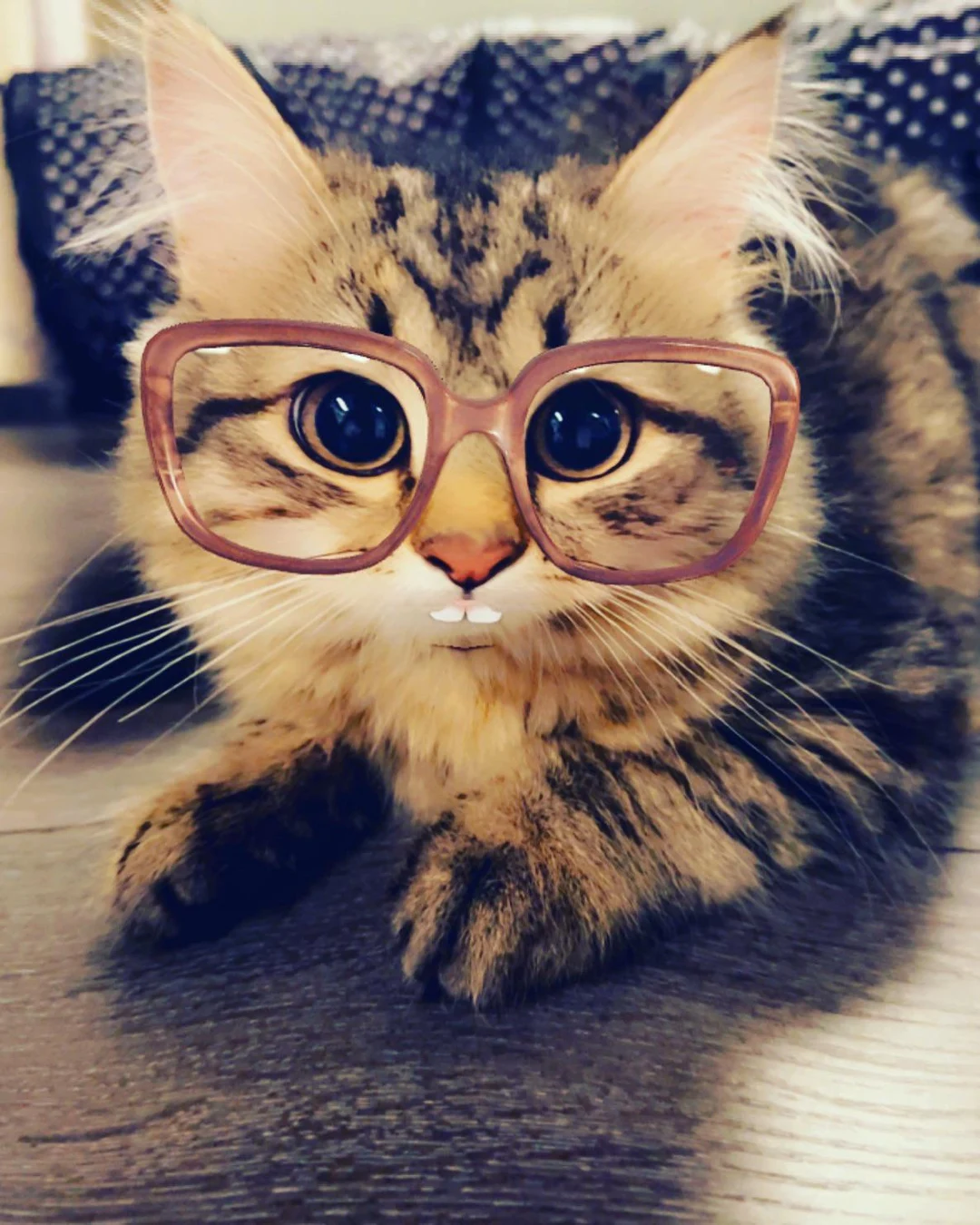 Oskar the nerd | Scrolller