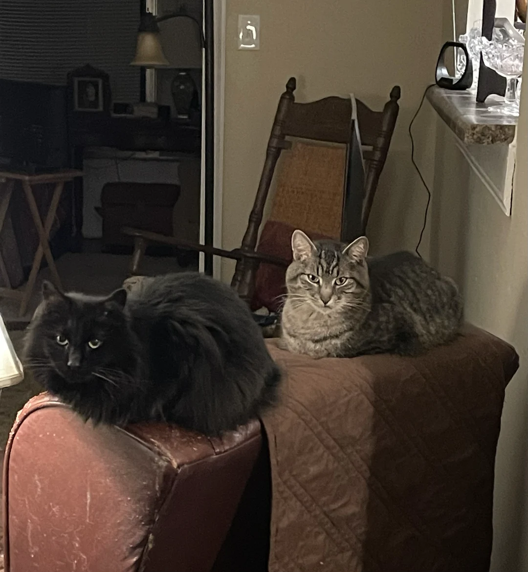 Double loaf!!! | Scrolller