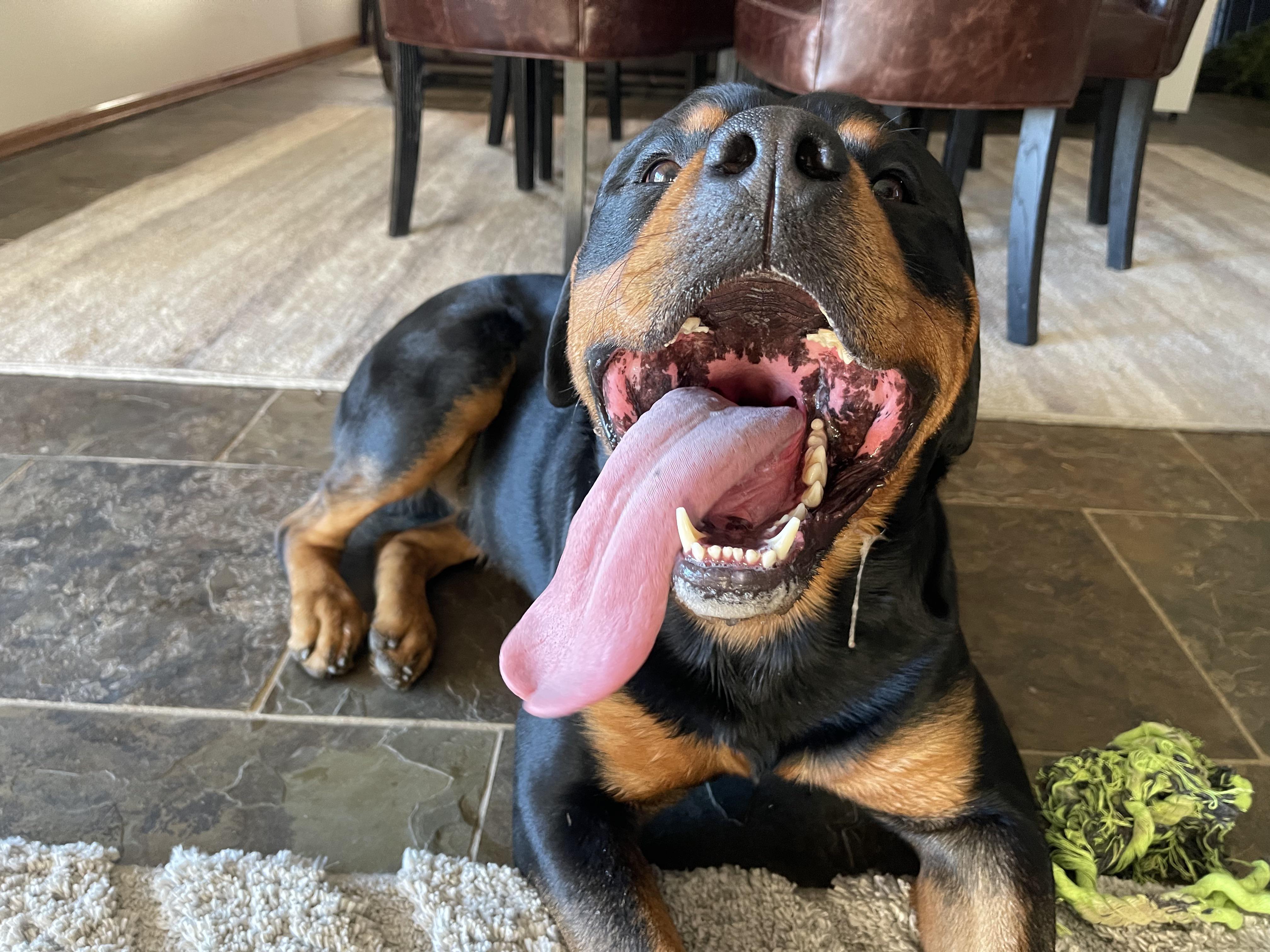 The Sheriff Bazooka Joe | Scrolller