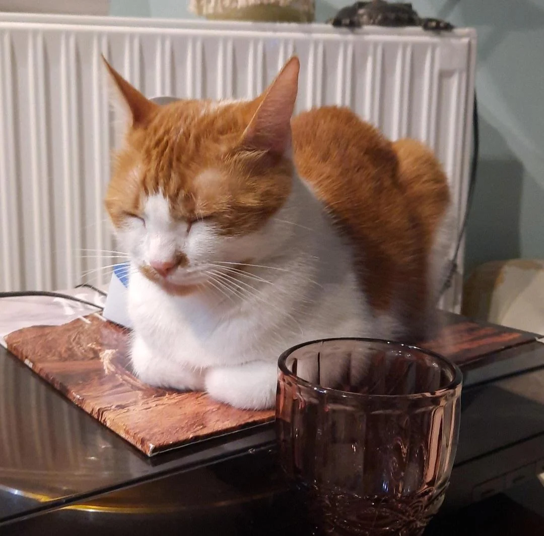 Sleepy loaf | Scrolller