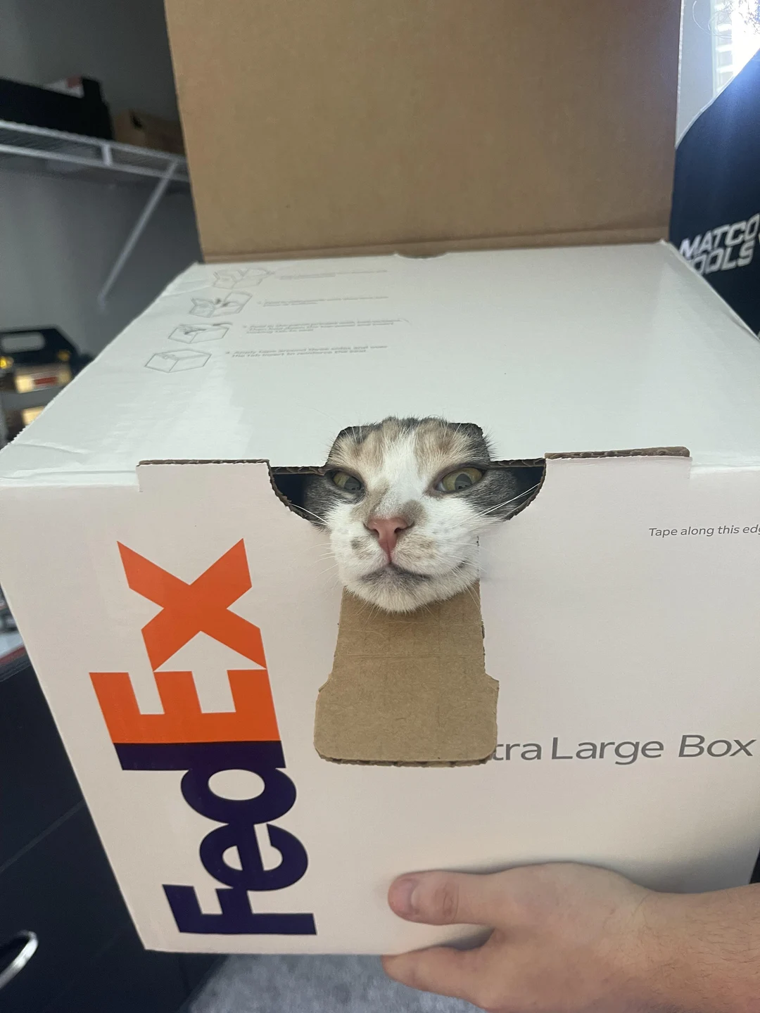 Order status: Preparing for shipment | Scrolller