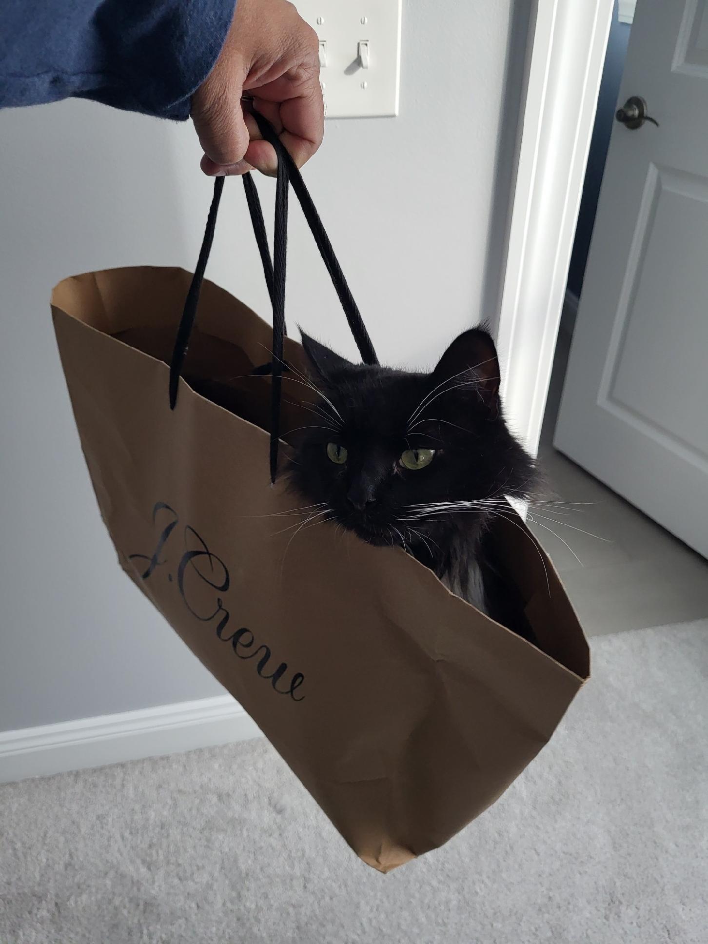 Portable Floof | Scrolller