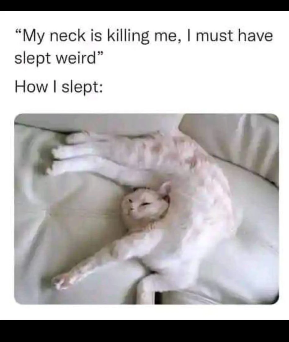 Nah, I think it's normal | Scrolller